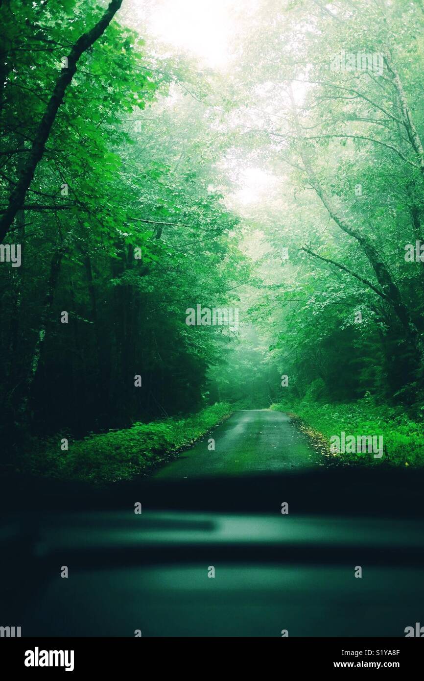 A set direction Stock Photo - Alamy