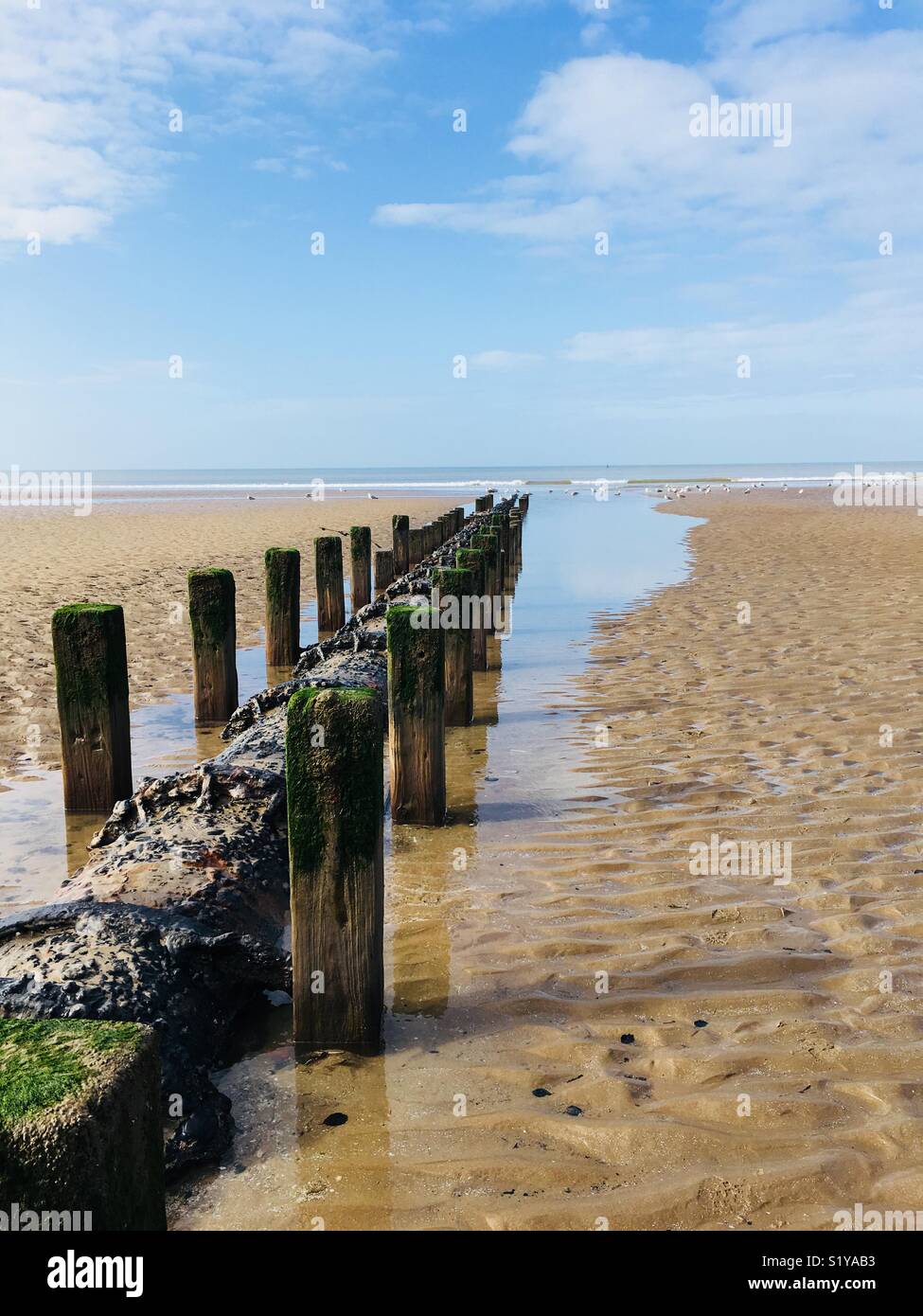 Sunshine beach hi-res stock photography and images - Alamy