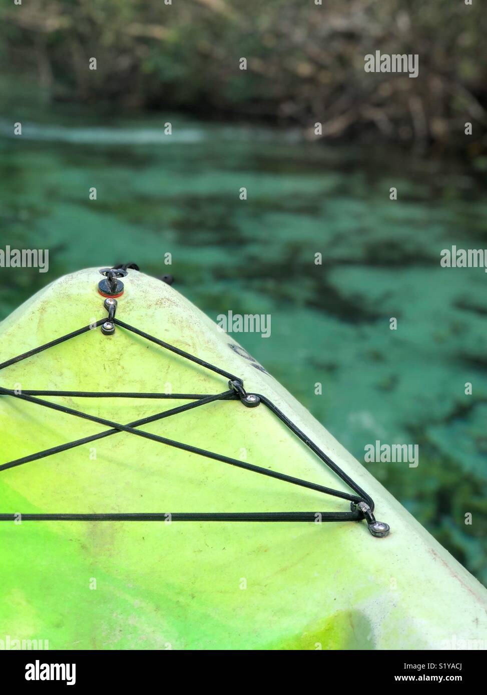 Kayaking Weeki Wachee Springs State Park, Florida Stock Photo - Alamy