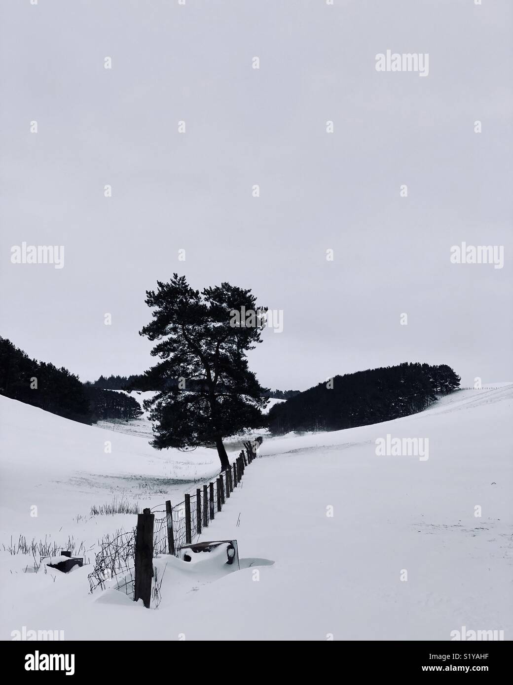 View across snowy countryside in Lanark, Scotland Stock Photo - Alamy