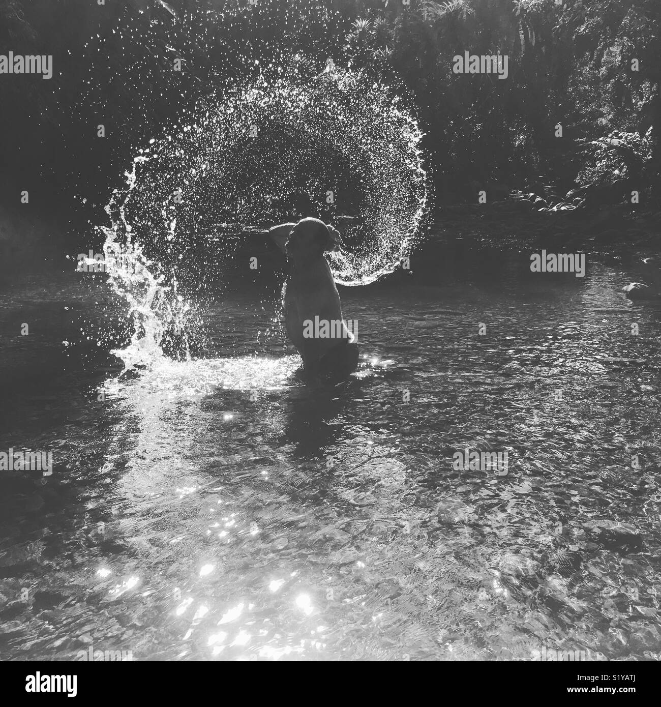 Man throwing water Stock Photo - Alamy