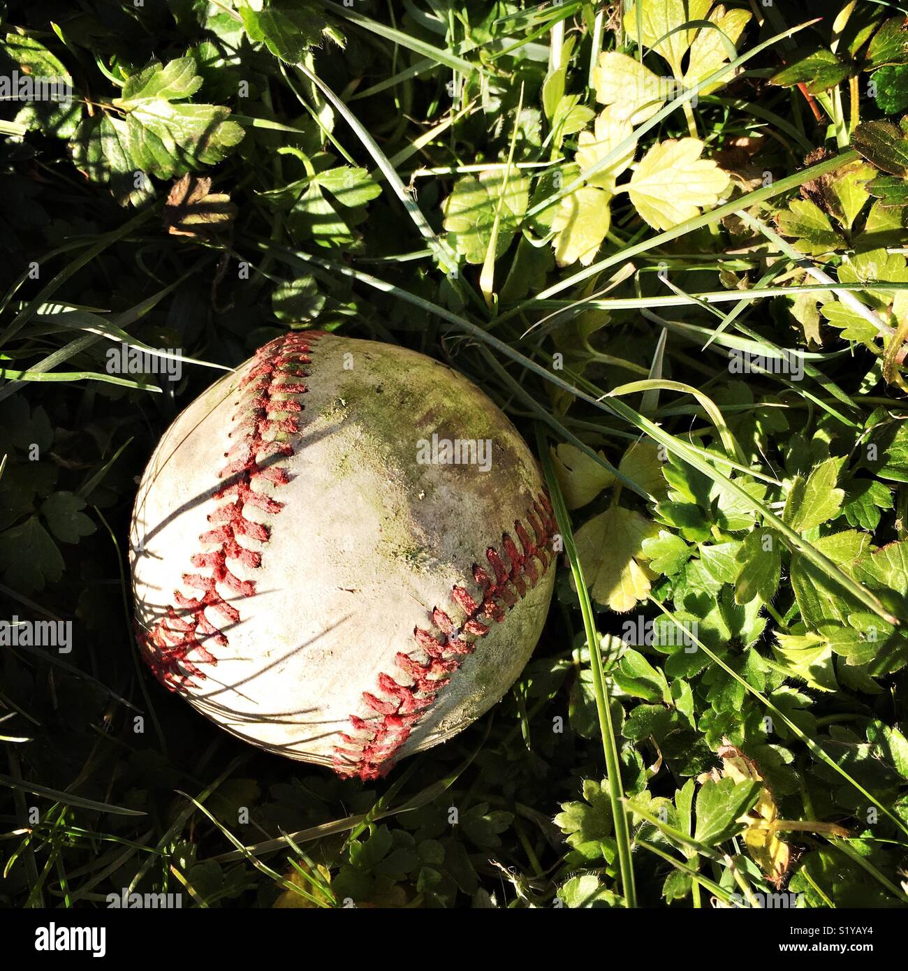 Baseball in the grass hi-res stock photography and images - Alamy