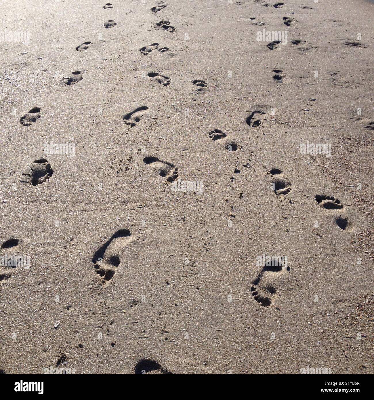 Footsteps to the ocean Stock Photo - Alamy