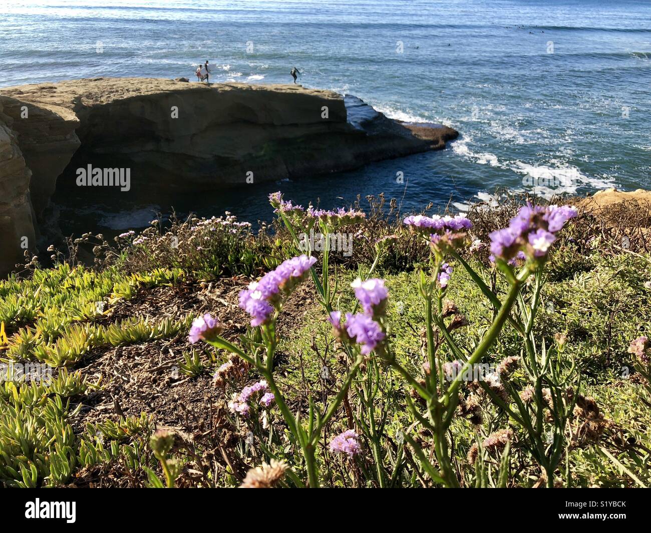 Purple cliffs hi-res stock photography and images - Alamy