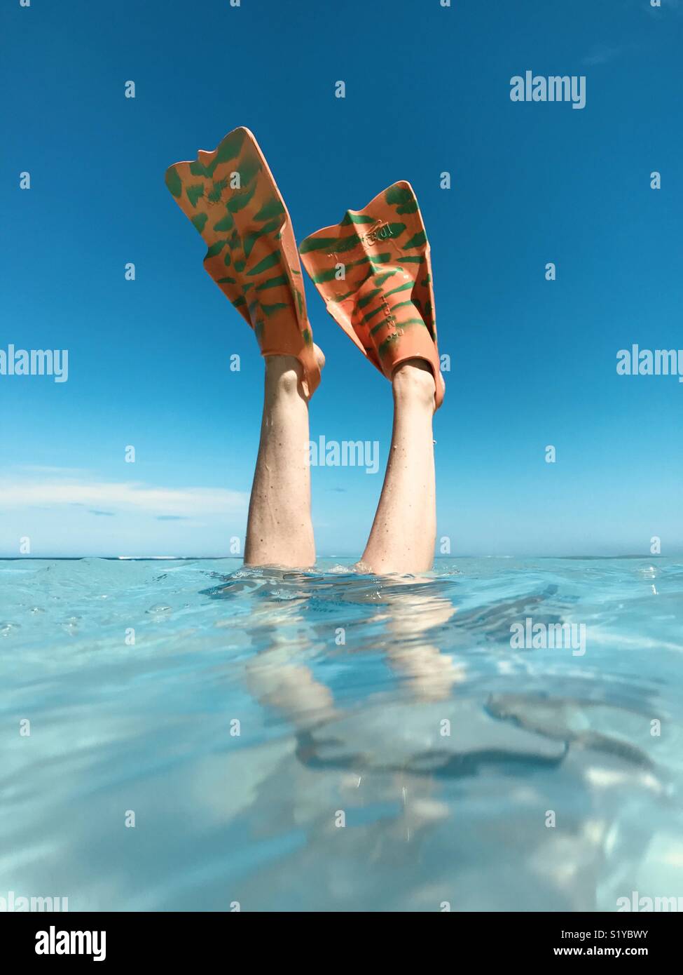 Swim fins hi-res stock photography and images - Alamy