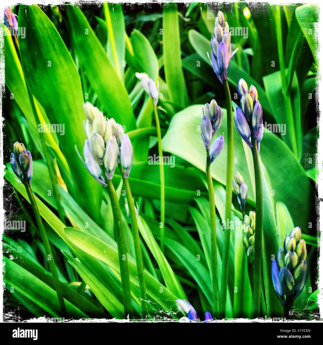 Seasons springtime hi-res stock photography and images - Alamy