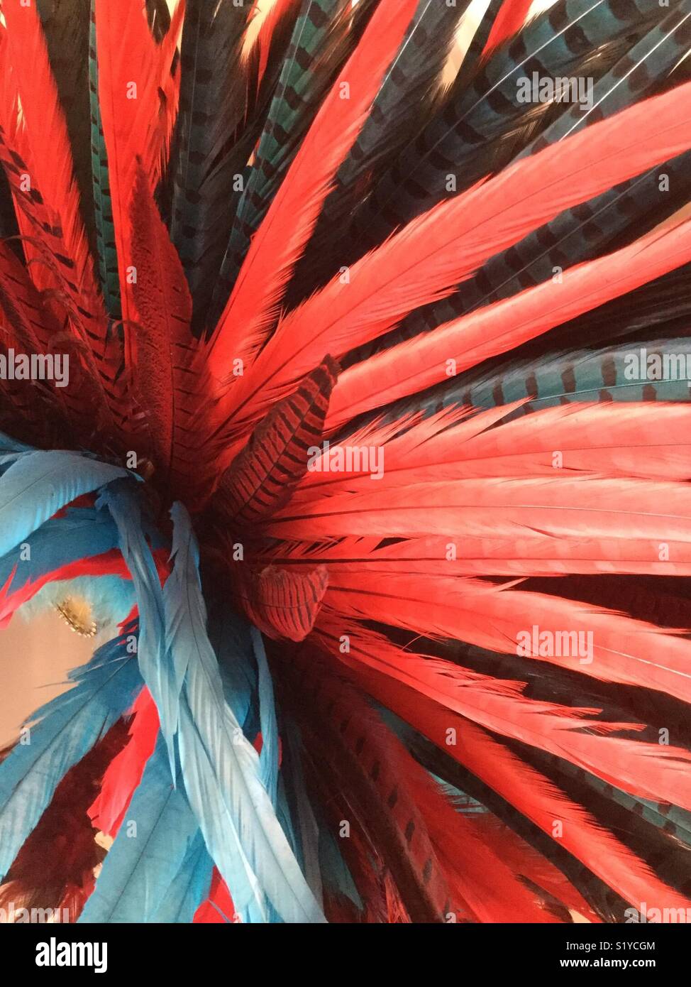 Blue feathers hi-res stock photography and images - Alamy