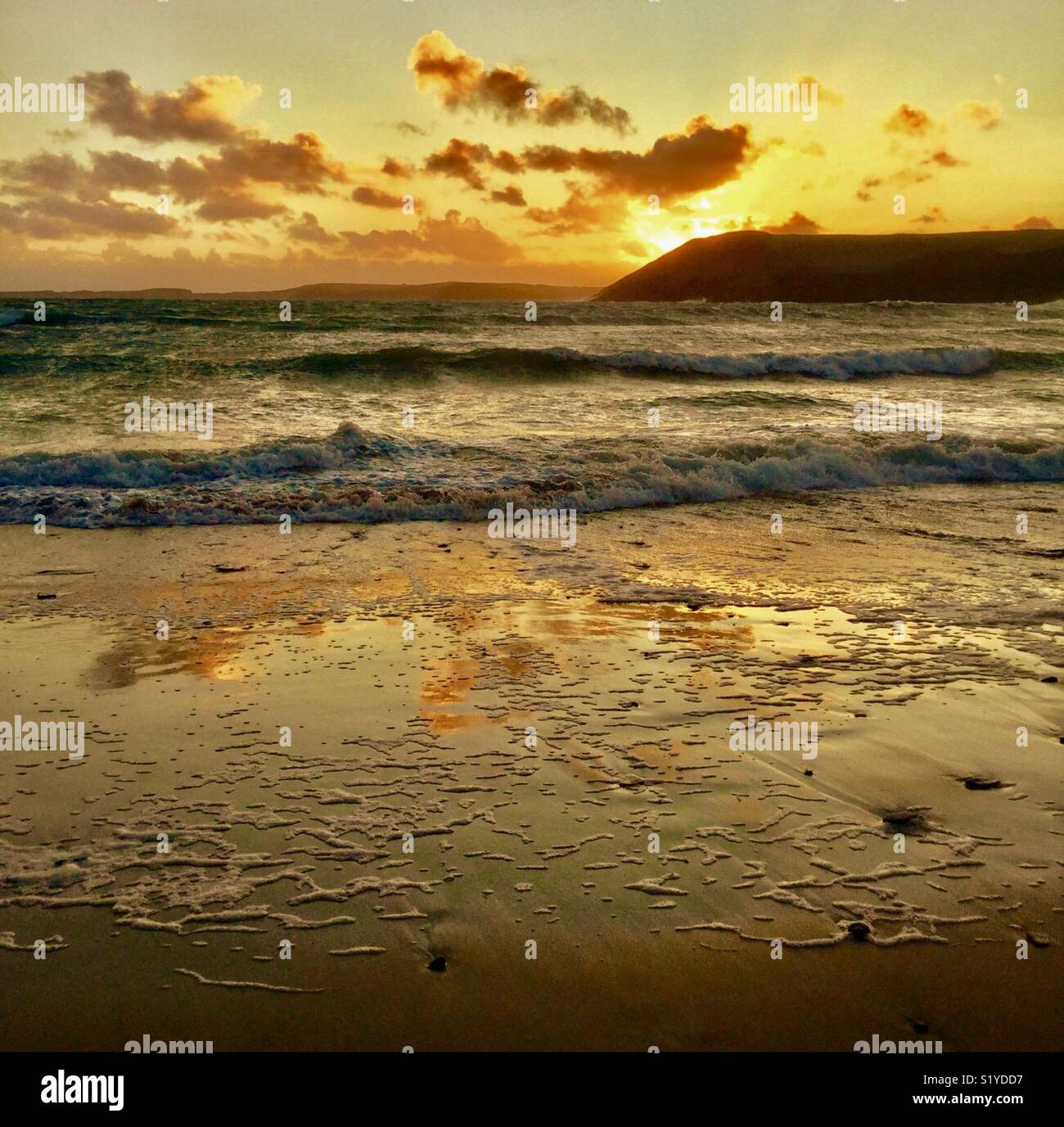 Golden Tide High Resolution Stock Photography and Images - Alamy