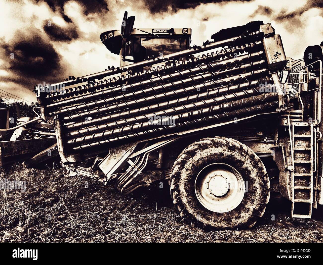 Ropa sugar beet loader Stock Photo - Alamy