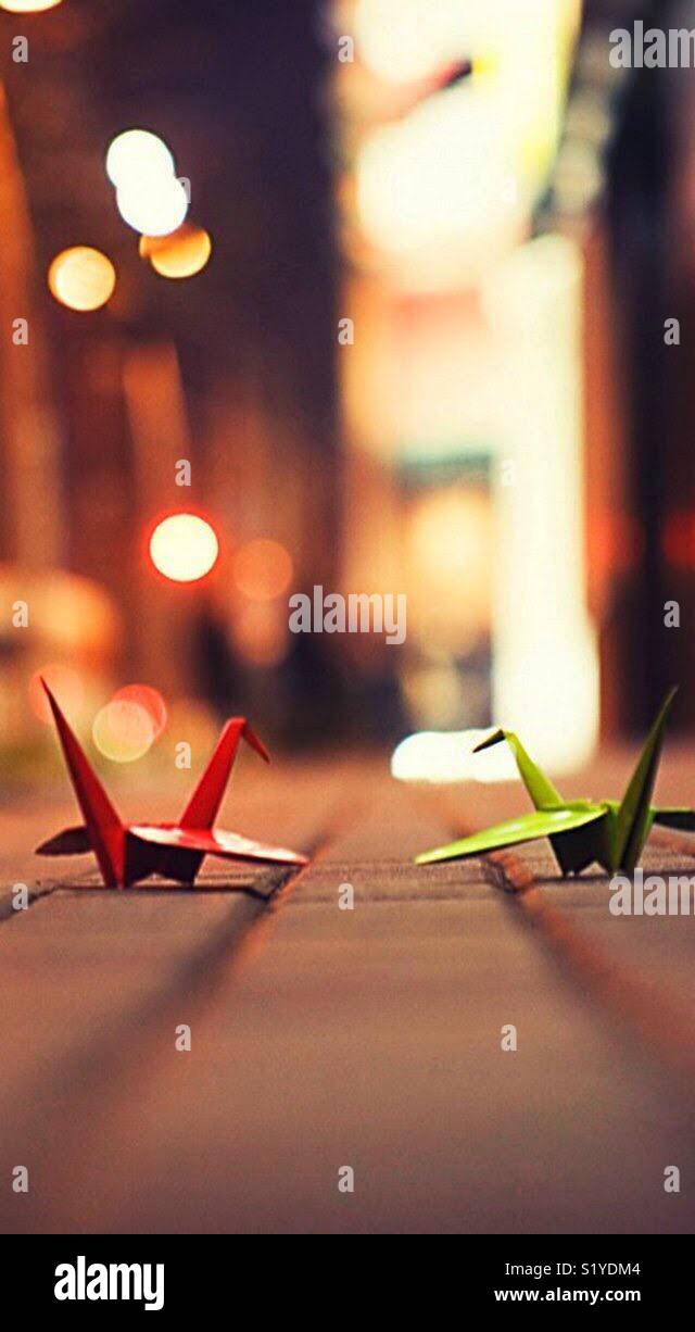 Difi hi-res stock photography and images - Alamy