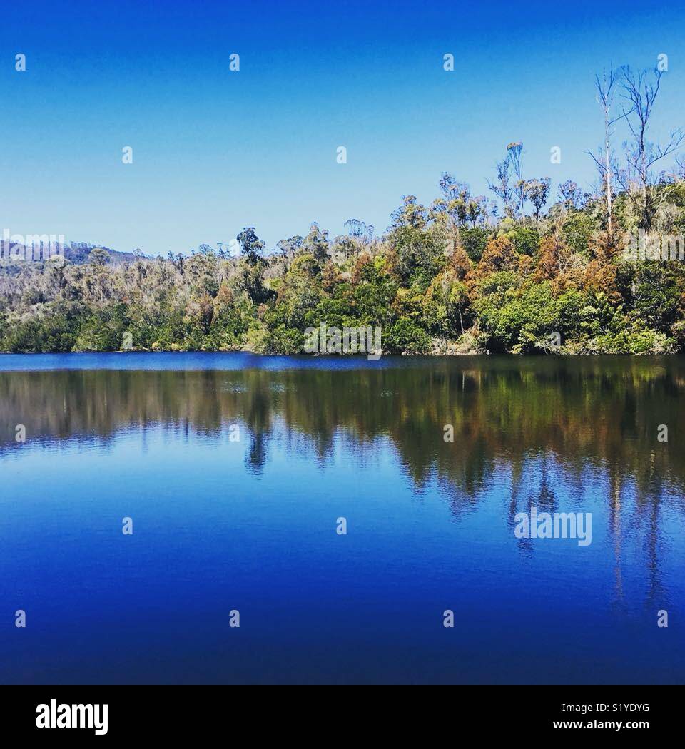 Coonoor nilgiris hi-res stock photography and images - Alamy