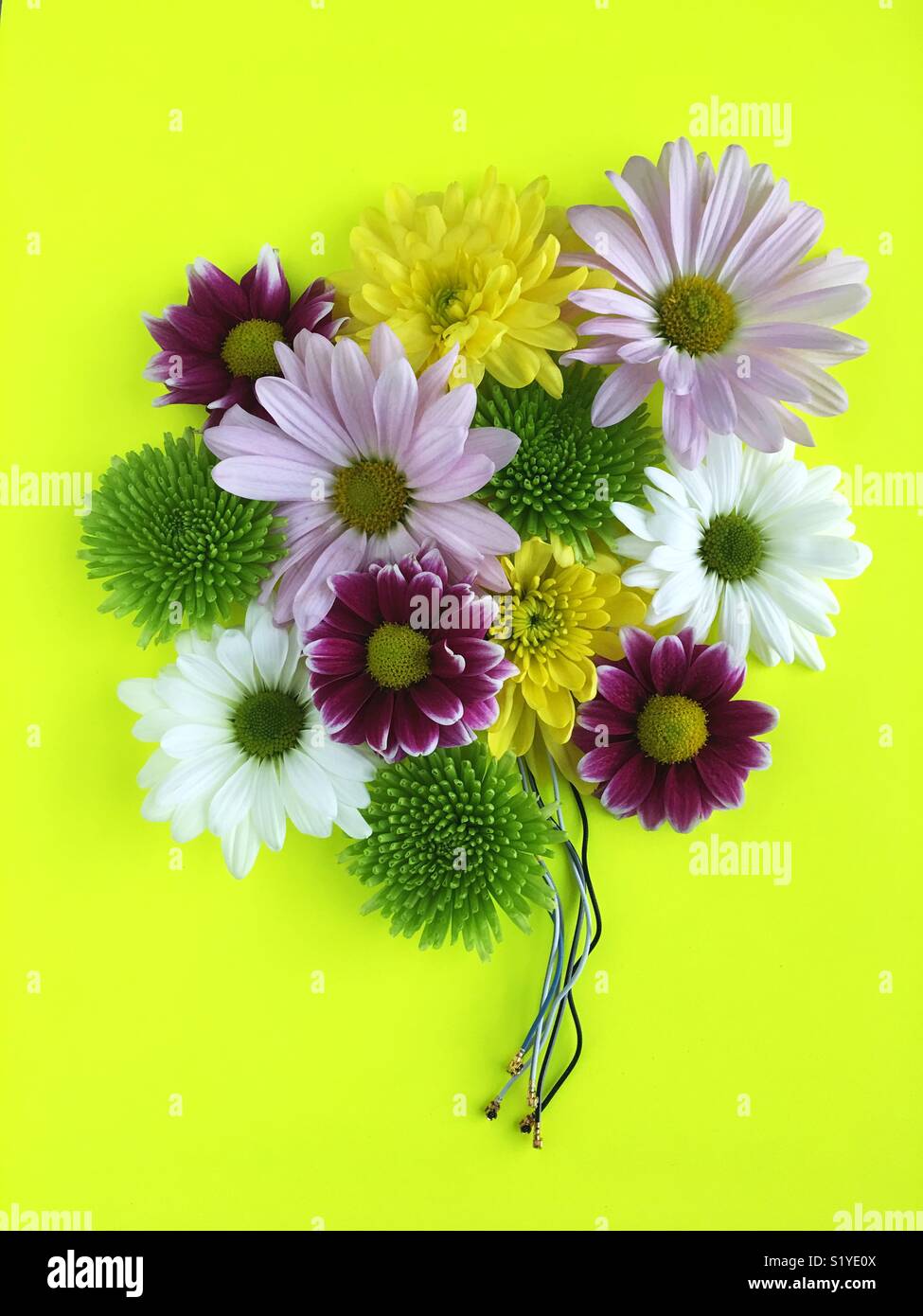 Human technology interaction hi-res stock photography and images - Alamy