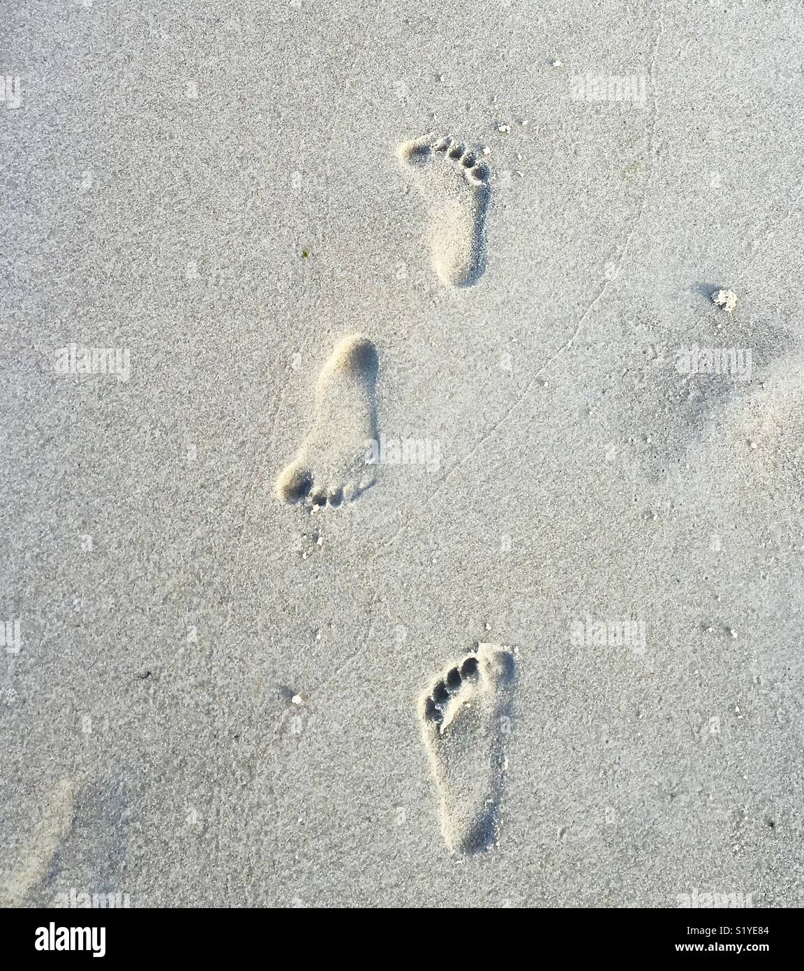 Three footprints in the sand in different directions Stock Photo - Alamy
