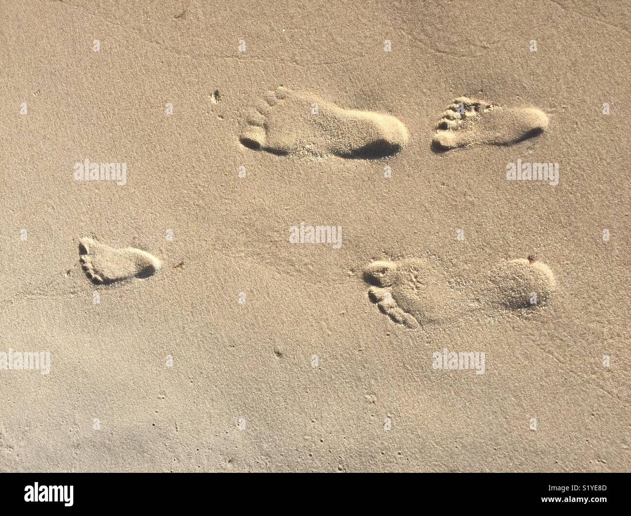 four different Footsteps of a family, from the man, the woman, the son ...