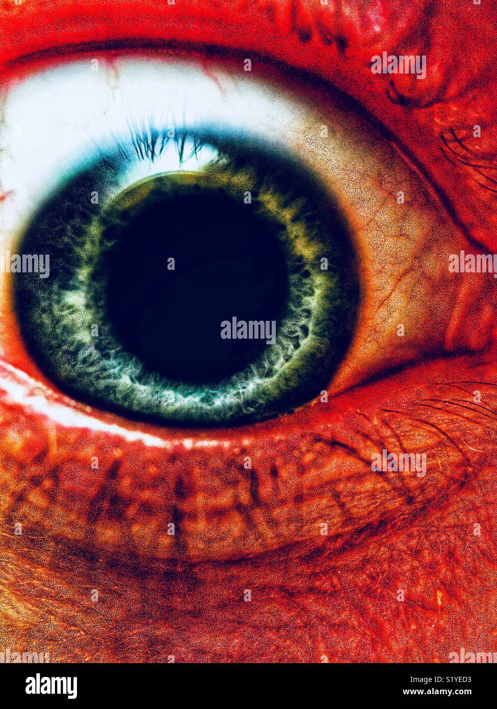 Bloodshot eye hi-res stock photography and images - Alamy