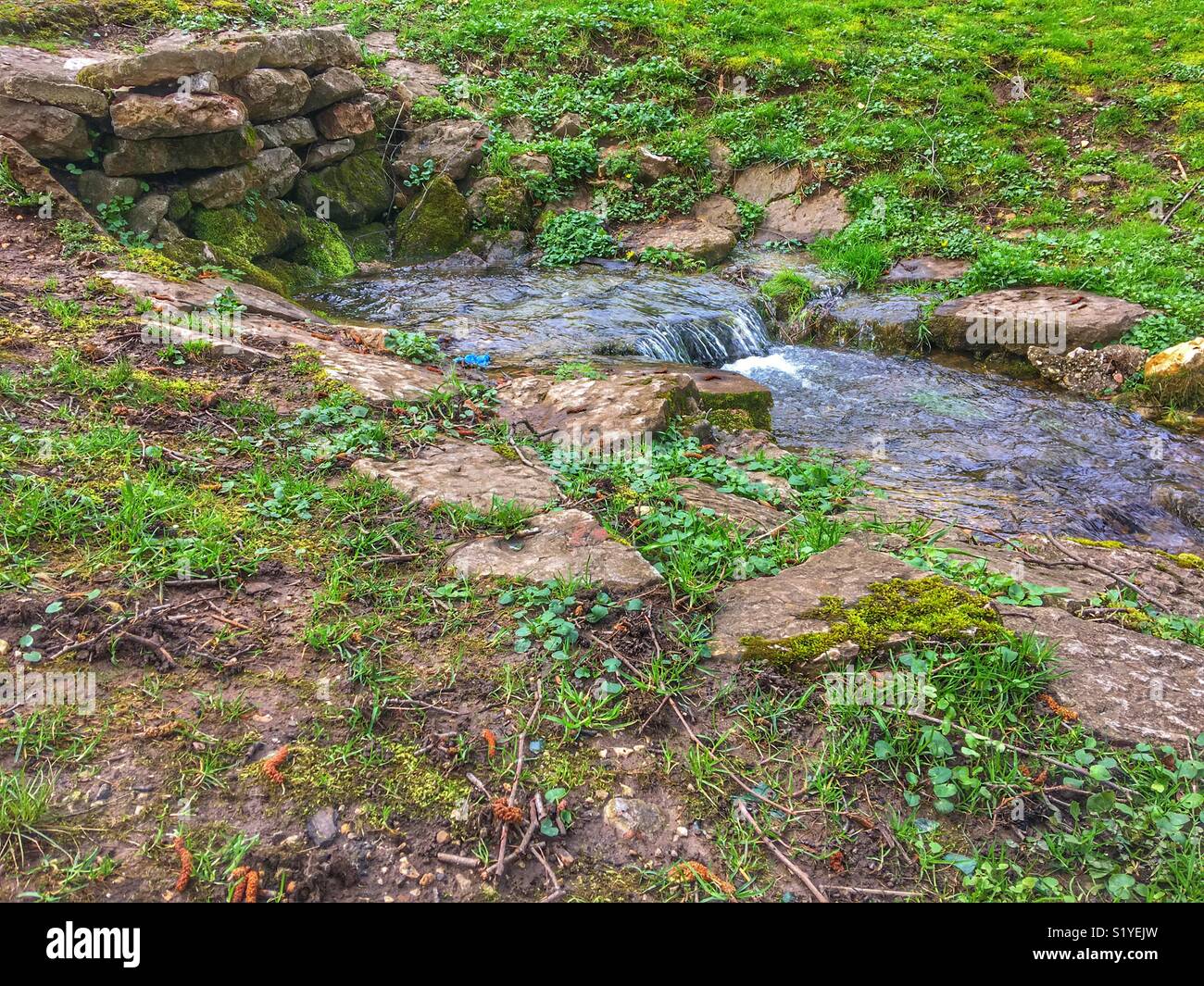 River Bosna Spring Stock Photo - Alamy