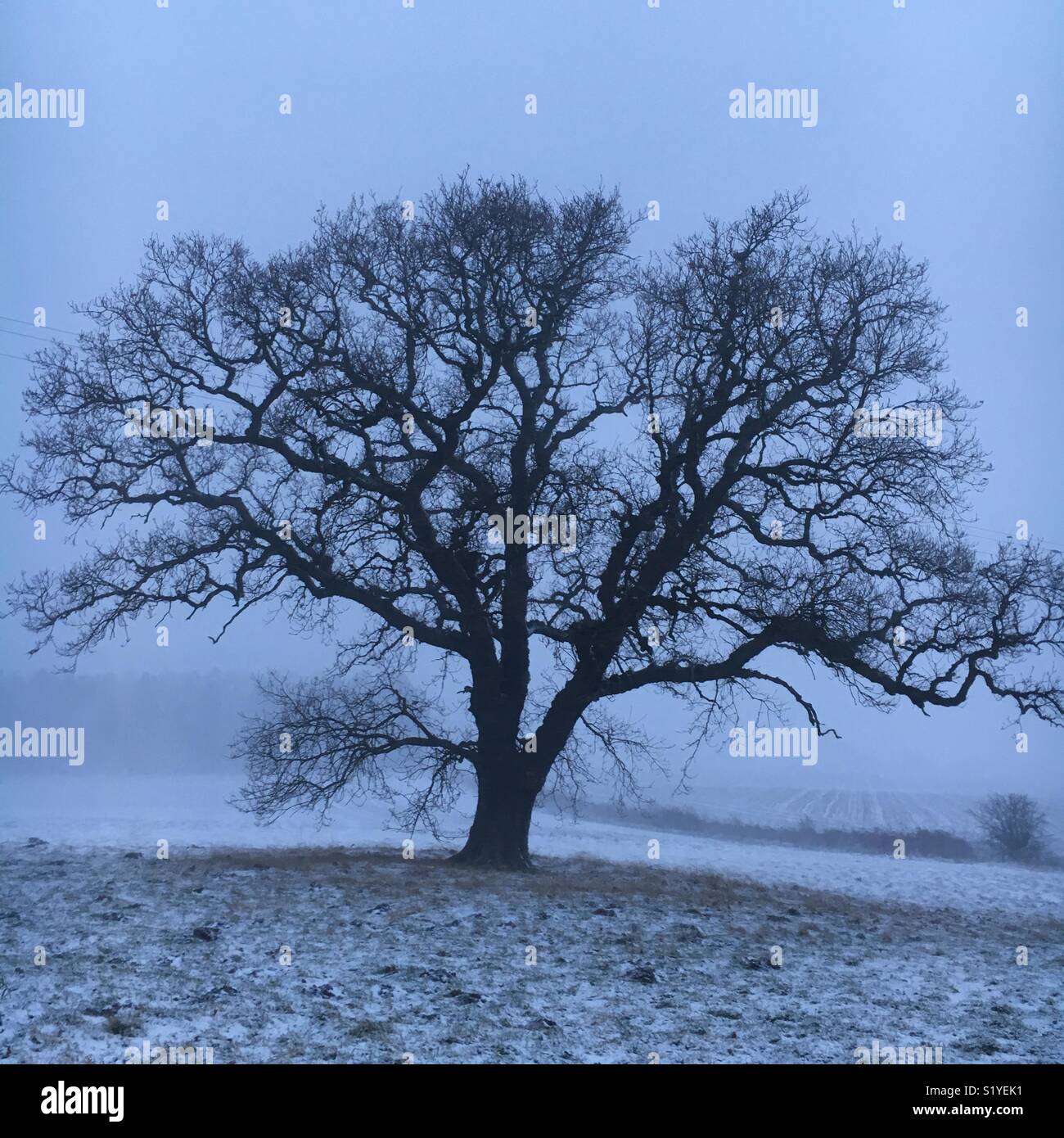 Cold looking hi-res stock photography and images - Alamy