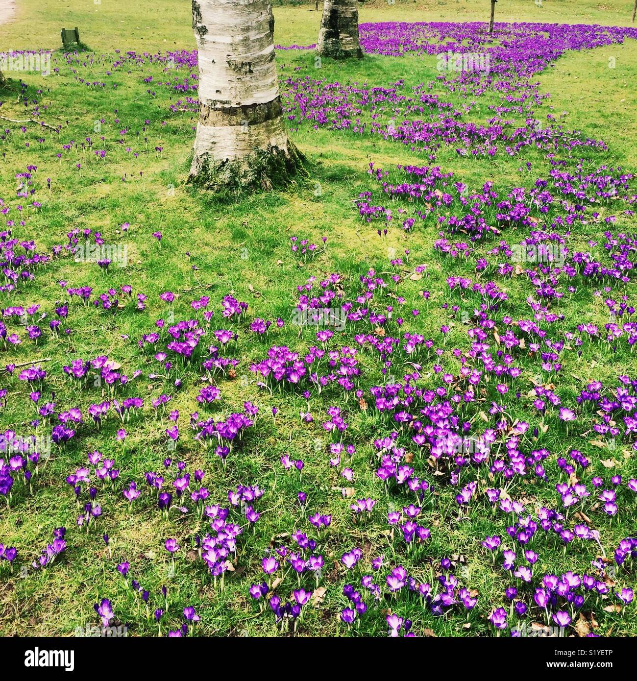 Arrival of spring Stock Photo - Alamy