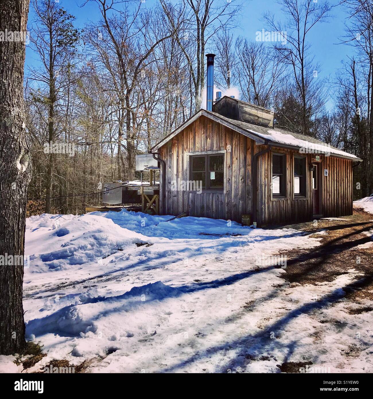 Augusta acres farm hi-res stock photography and images - Alamy