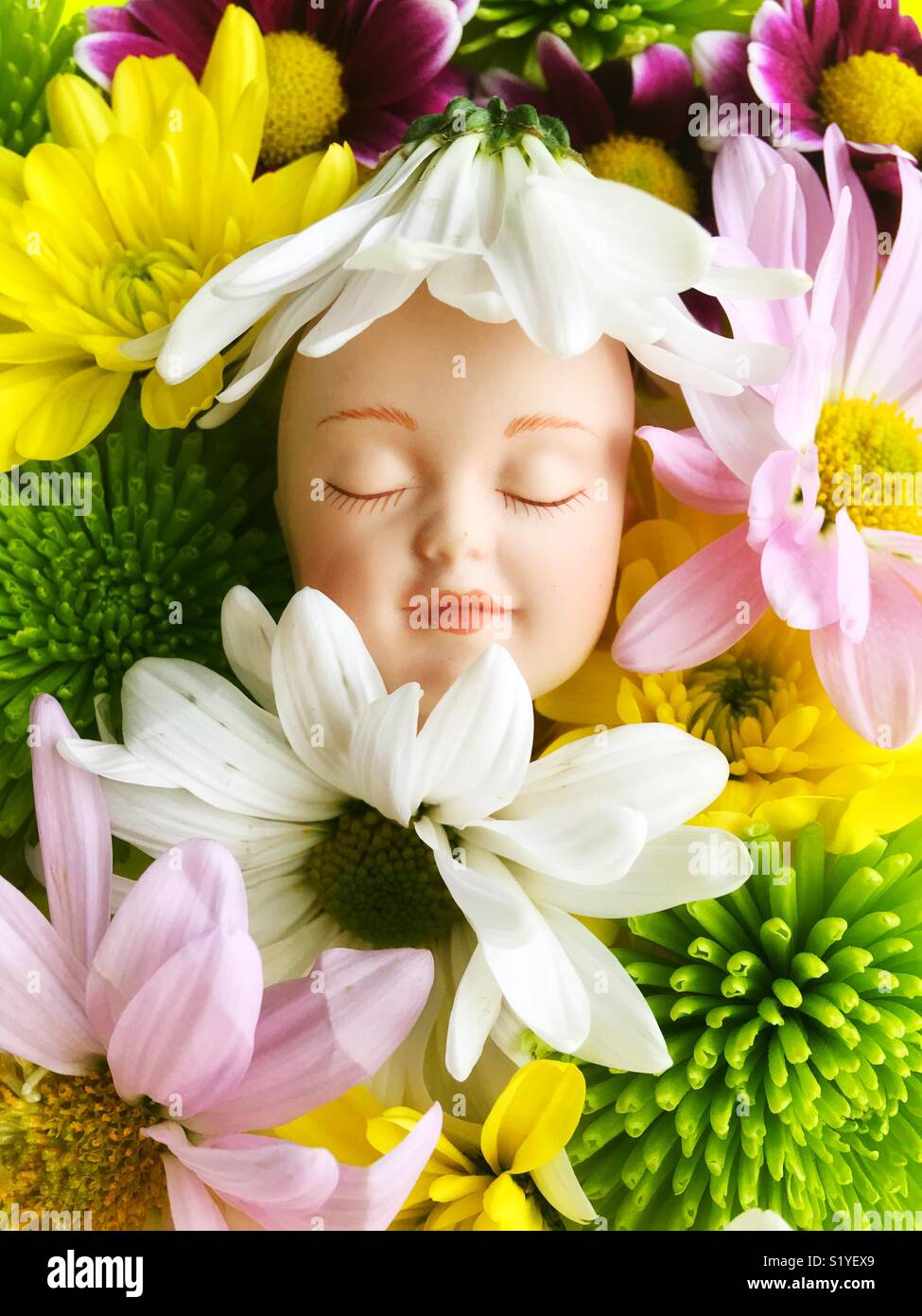 Doll with flowers hi-res stock photography and images - Alamy
