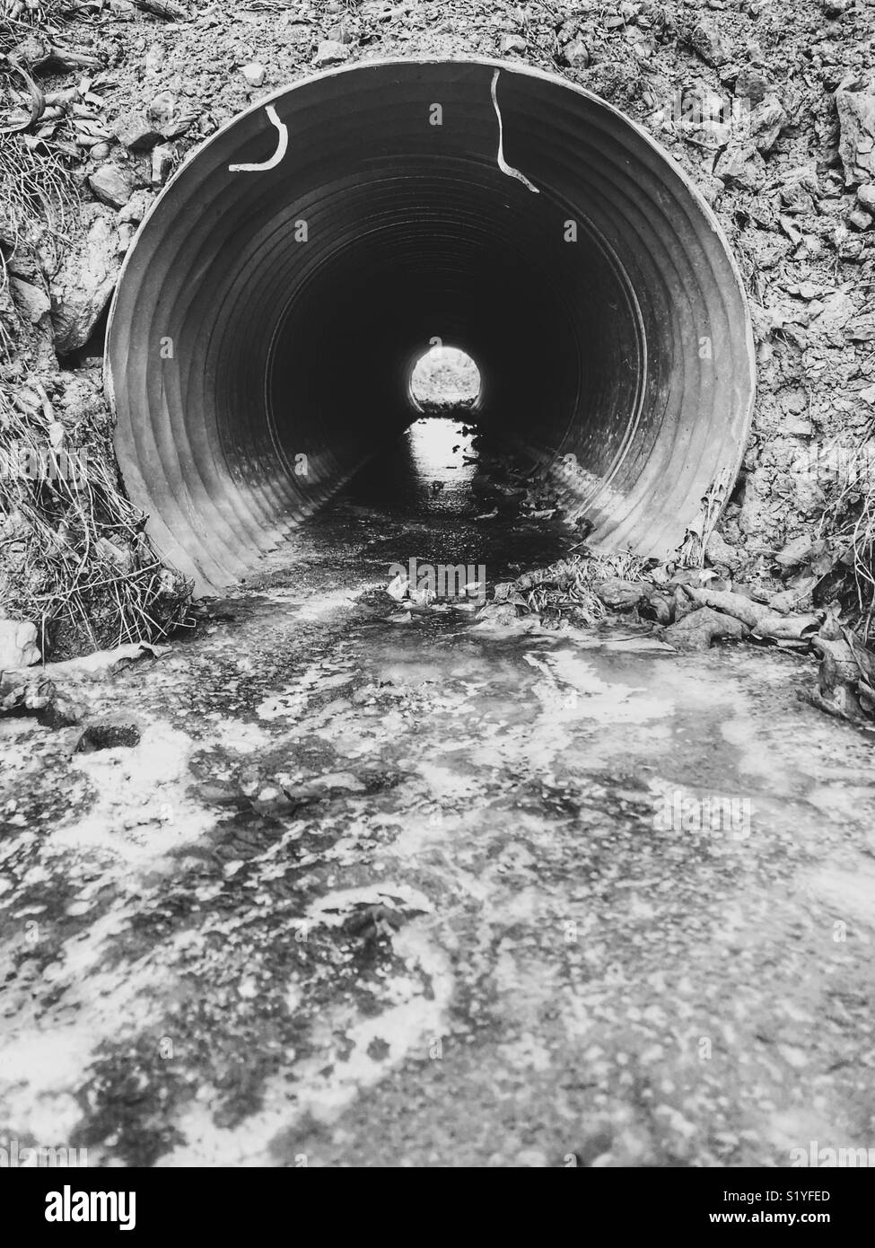 Ditch Black and White Stock Photos & Images - Alamy