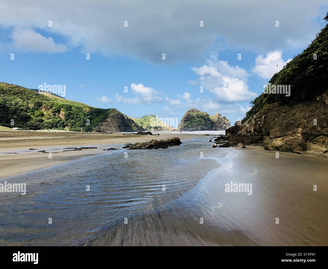 Piha Beach New Zealand High Resolution Stock Photography and Images - Alamy