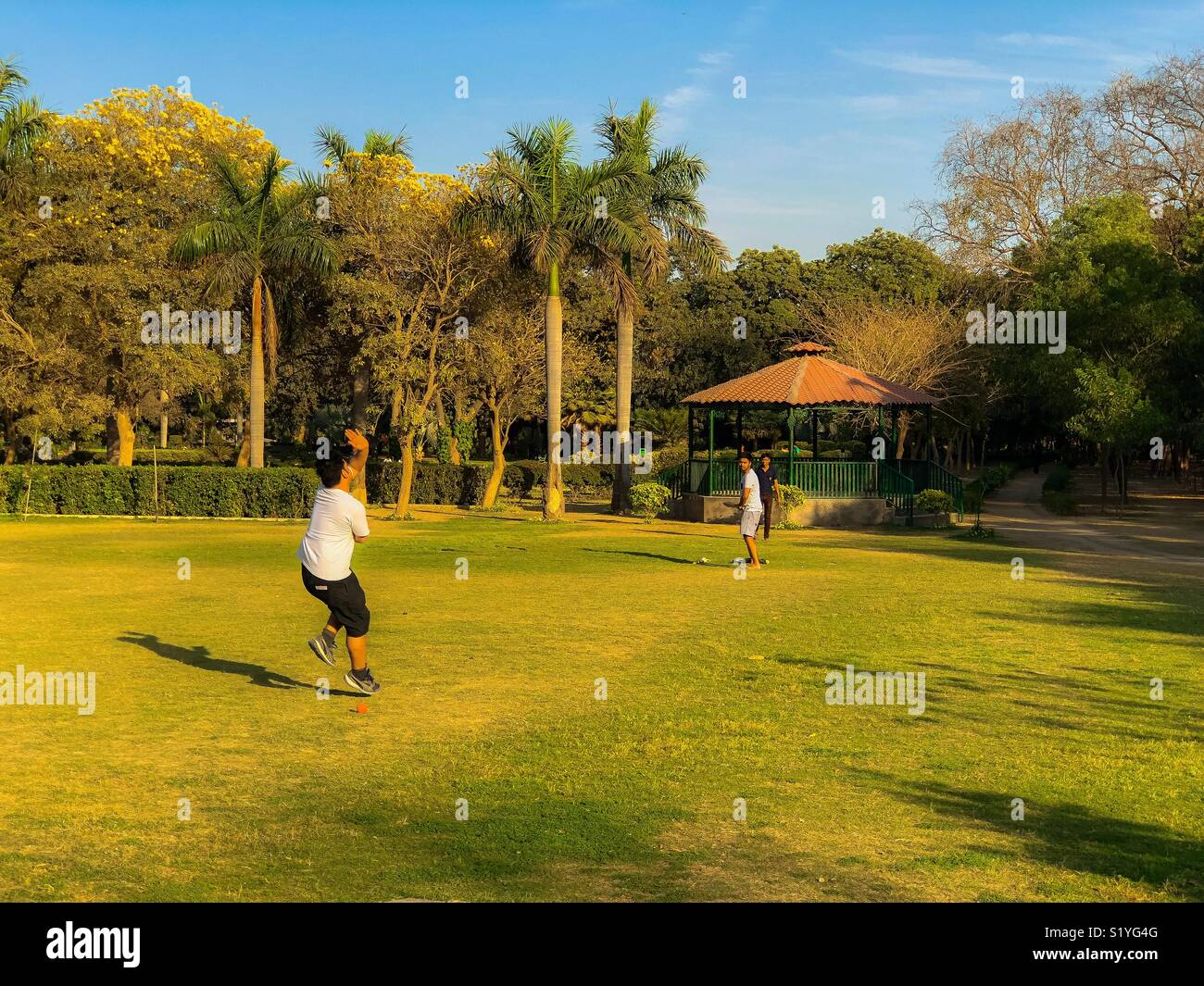 Boys playing cricket india hi-res stock photography and images - Alamy
