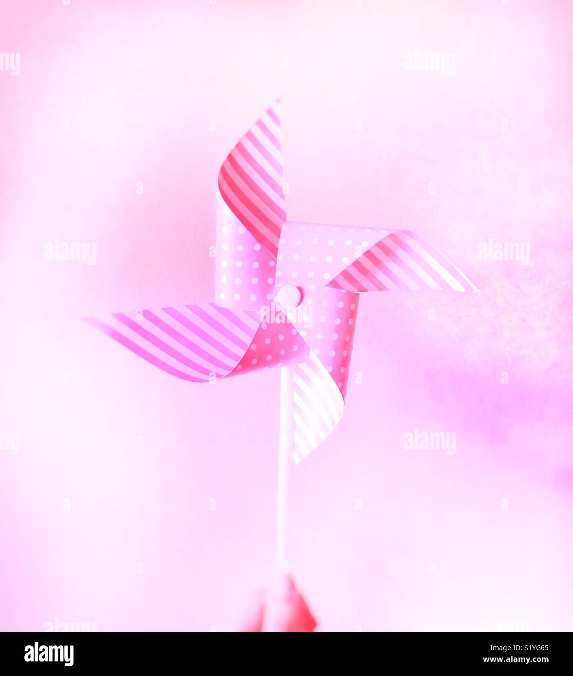 Rose windmill hi-res stock photography and images - Alamy