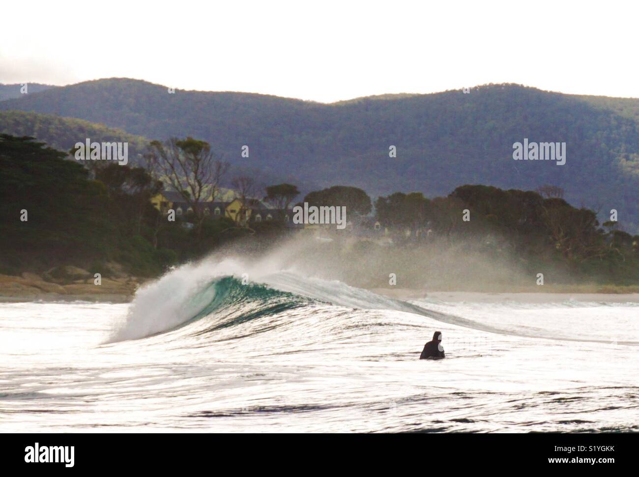 Surfing tasmania hi-res stock photography and images - Alamy
