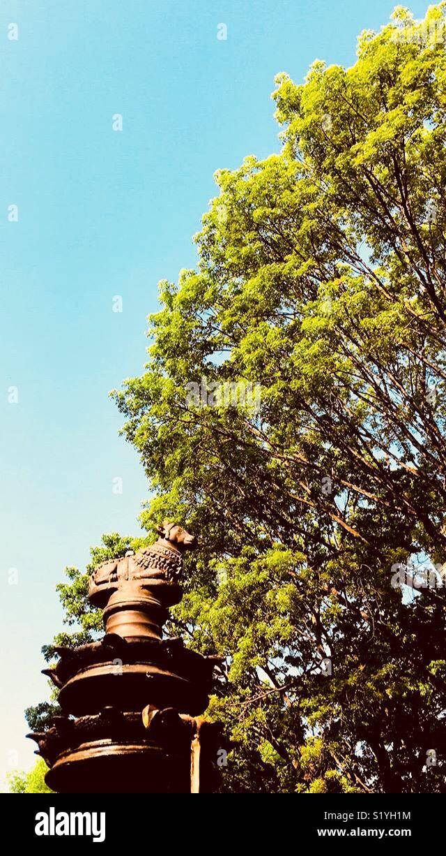 Bliss of nature hi-res stock photography and images - Alamy