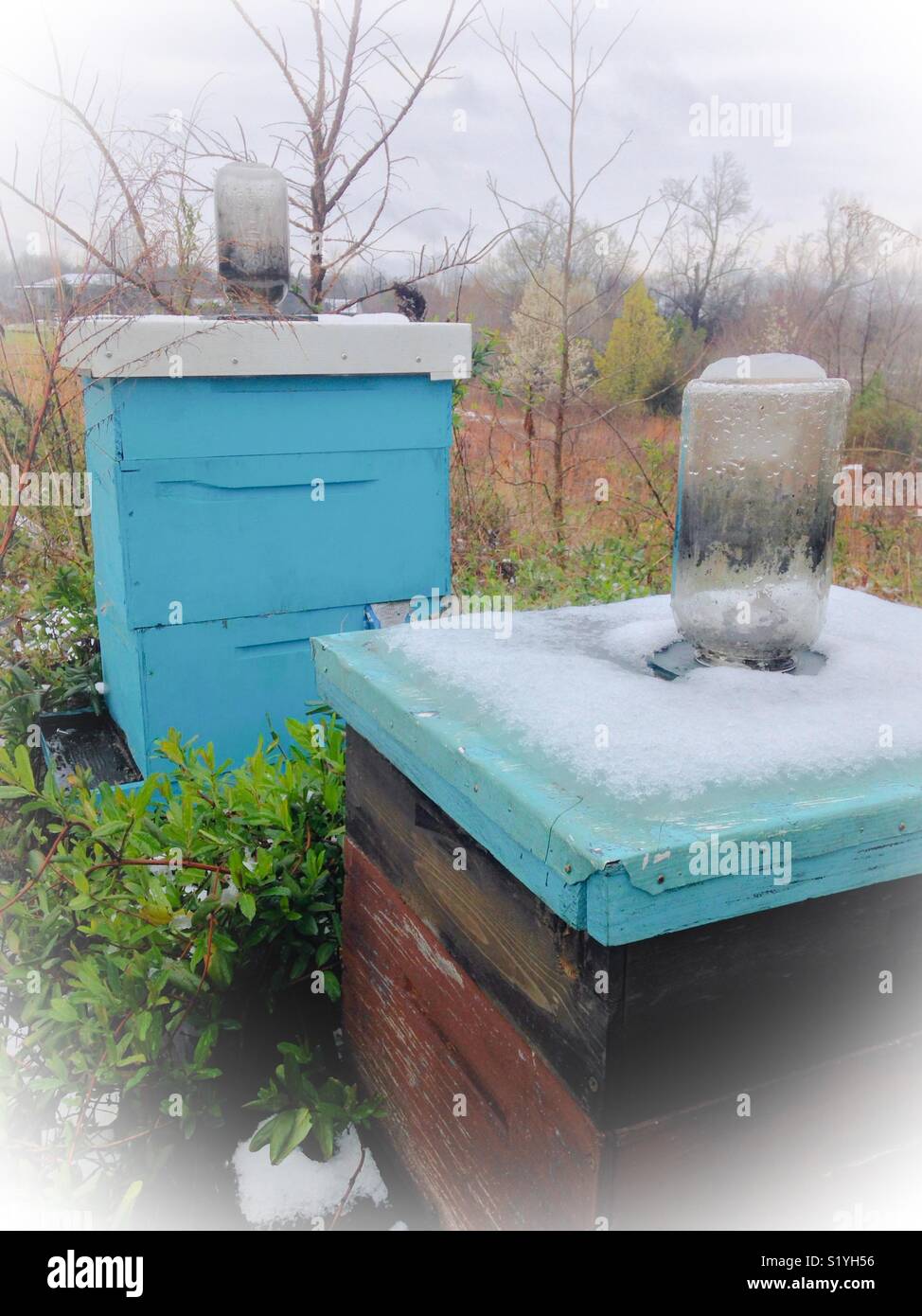 Spring snowfall on aqua bee box Stock Photo - Alamy