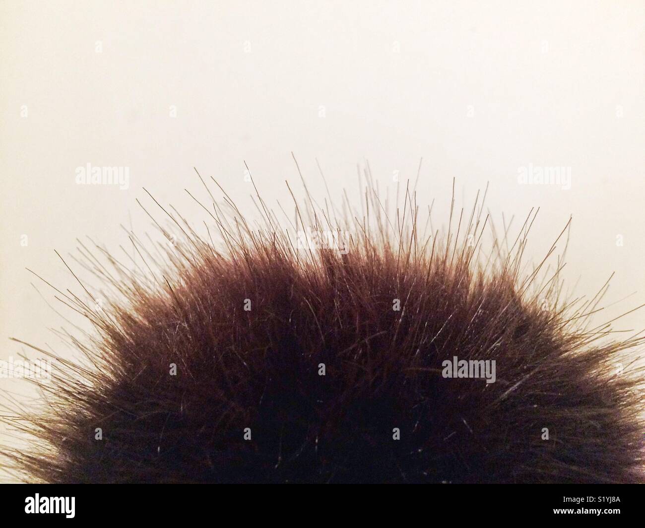 Pile of fur hi-res stock photography and images - Alamy