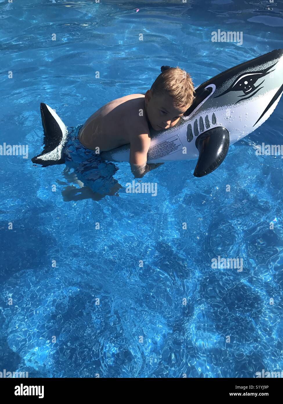 Summer of shark hi-res stock photography and images - Alamy