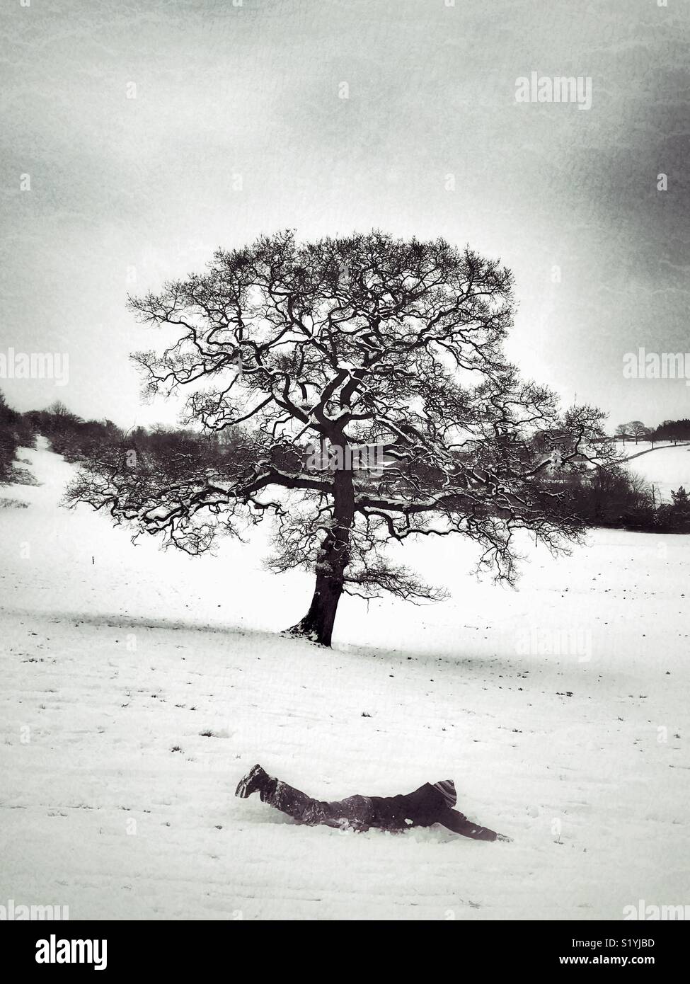 Sliding in tree hi-res stock photography and images - Alamy