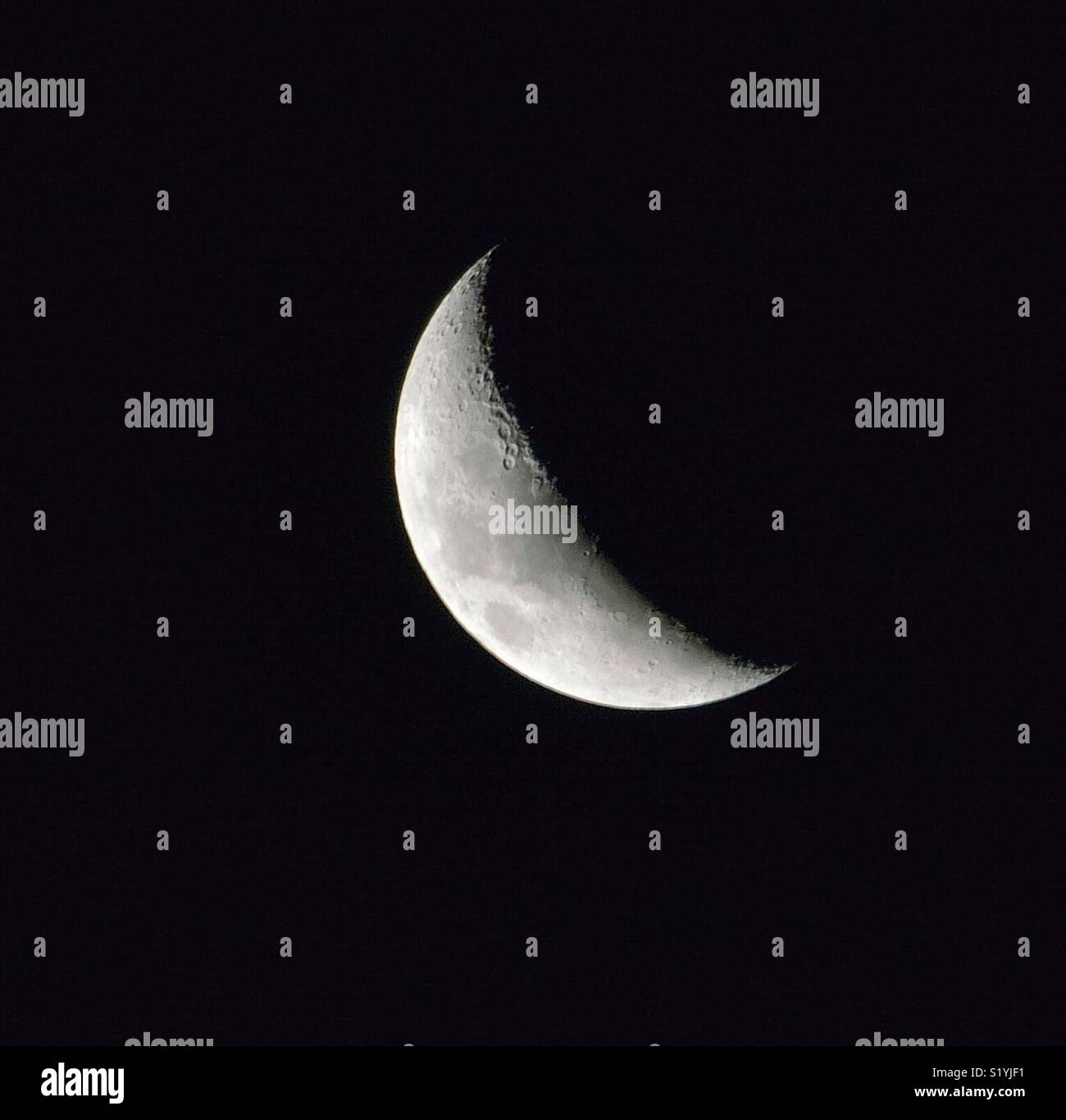 Moon growing hi-res stock photography and images - Alamy