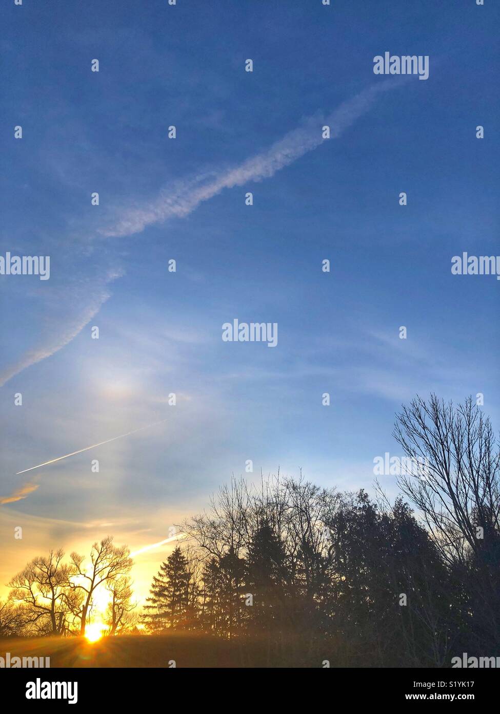Beautiful morning sunrise sky with clouds, tree silhouettes and jet ...