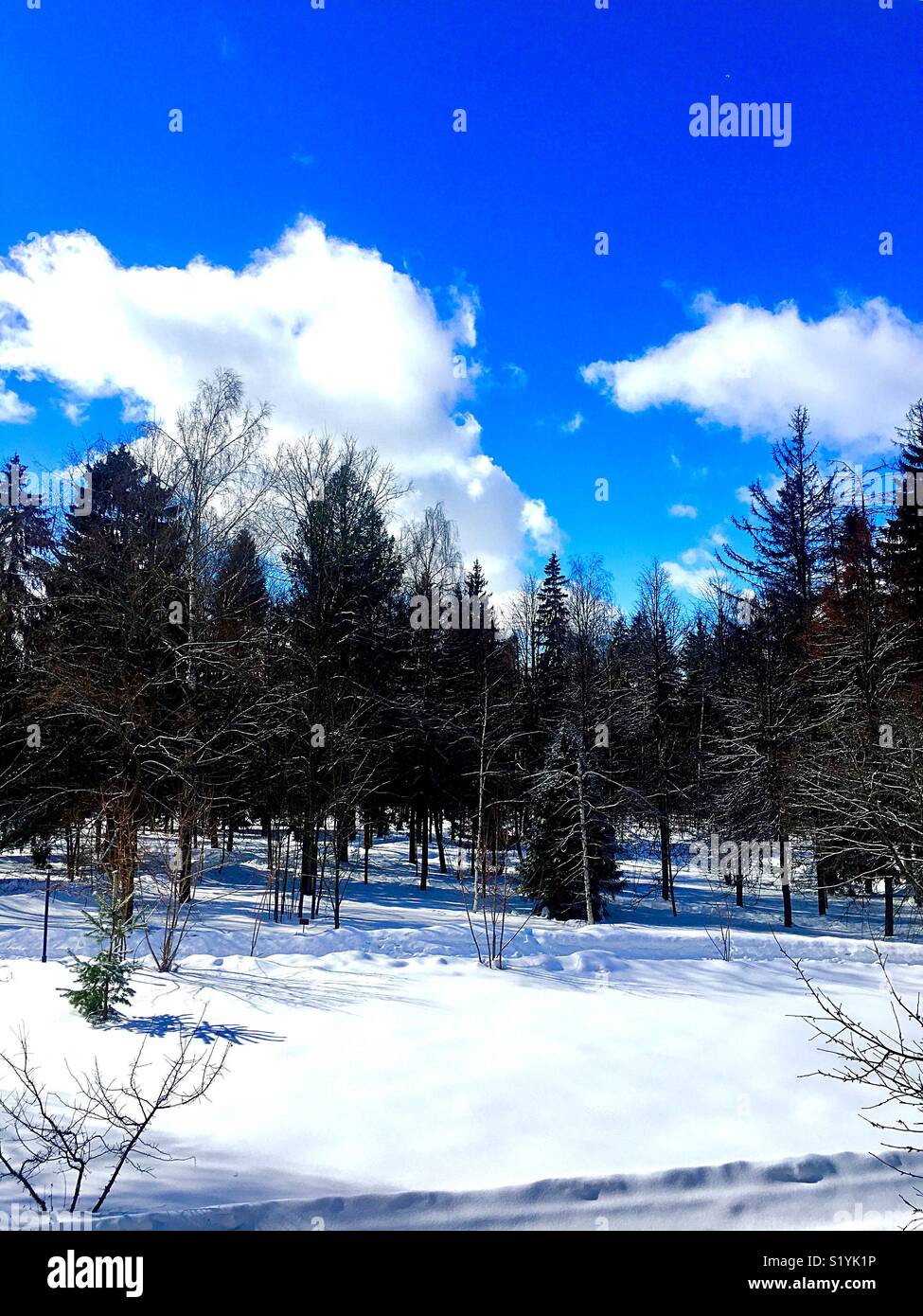 breath of spring Stock Photo - Alamy