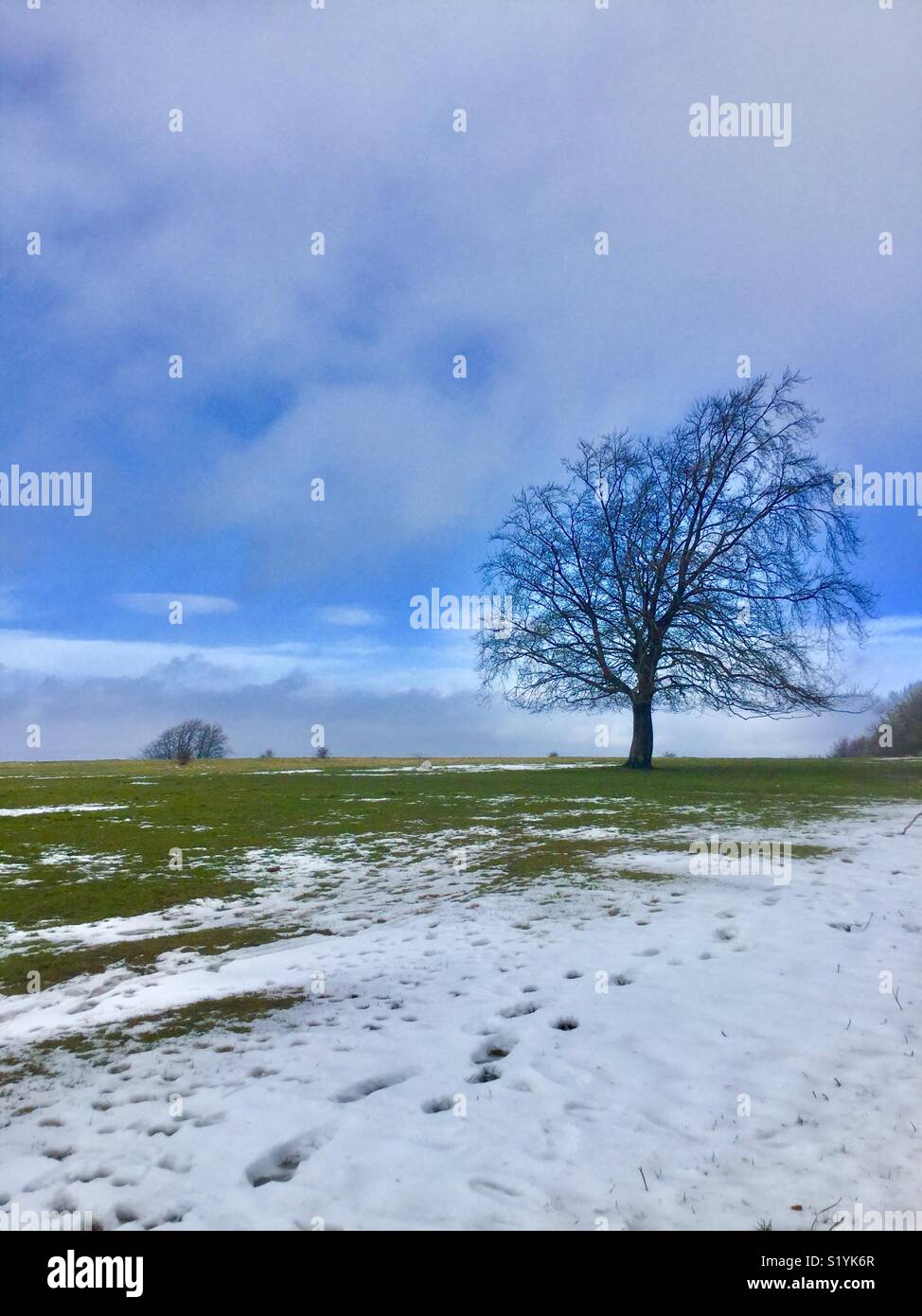 Haresfield Stock Photos & Haresfield Stock Images - Alamy