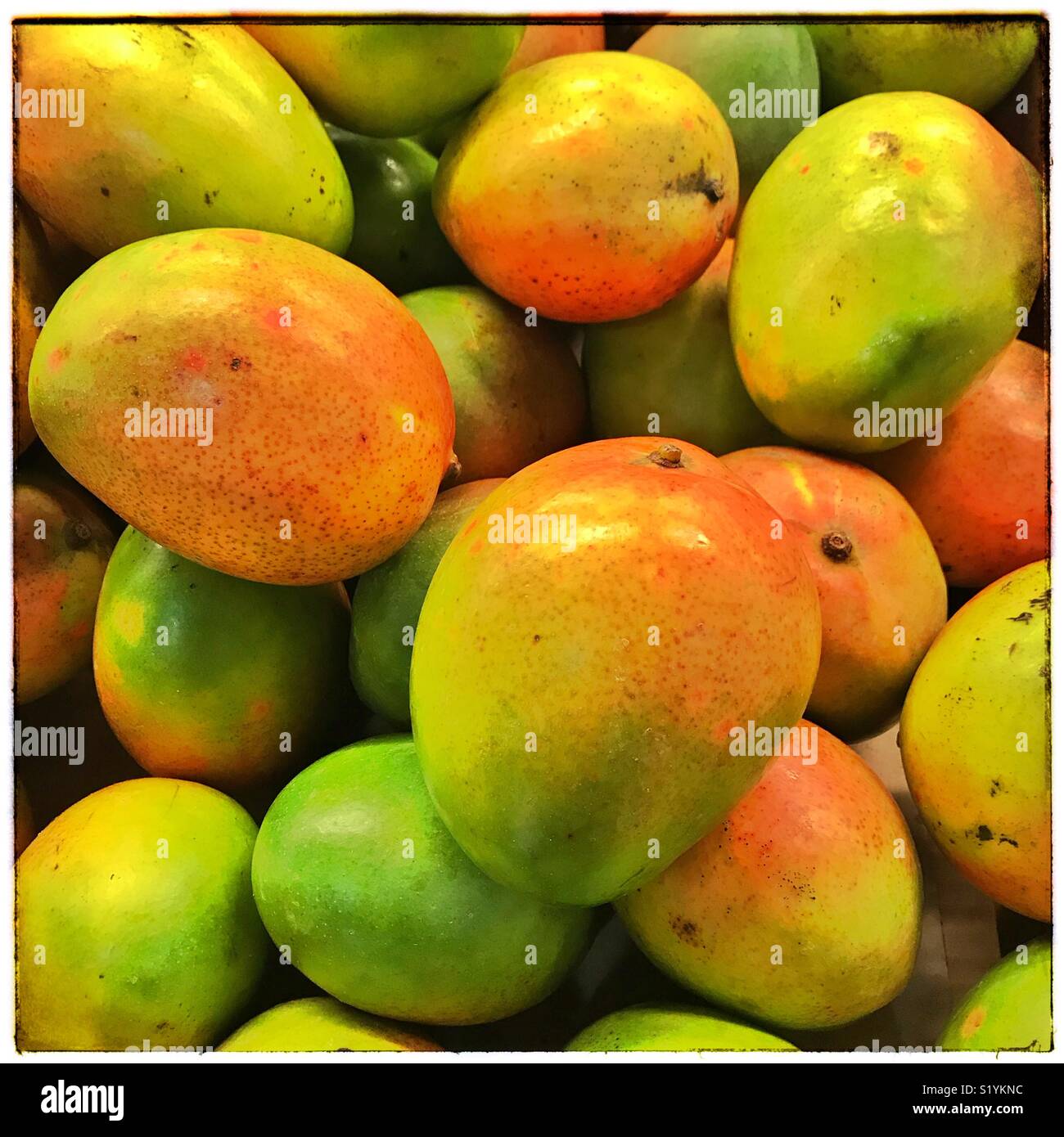 Mangoes in supermarket Stock Photo - Alamy