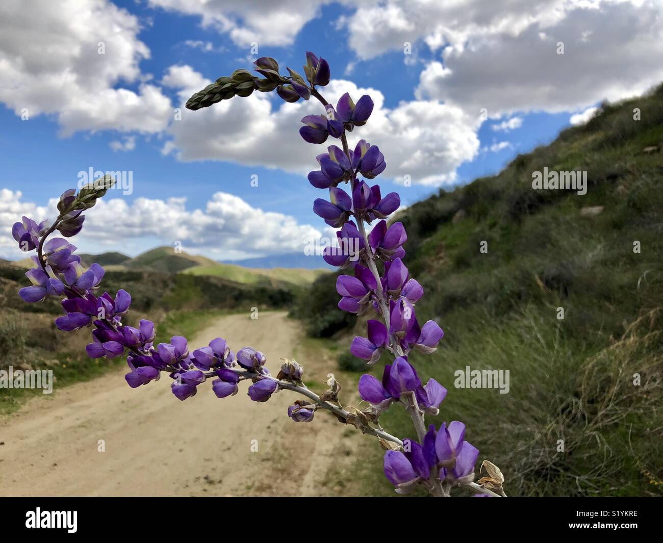 Intelligent design hi-res stock photography and images - Alamy