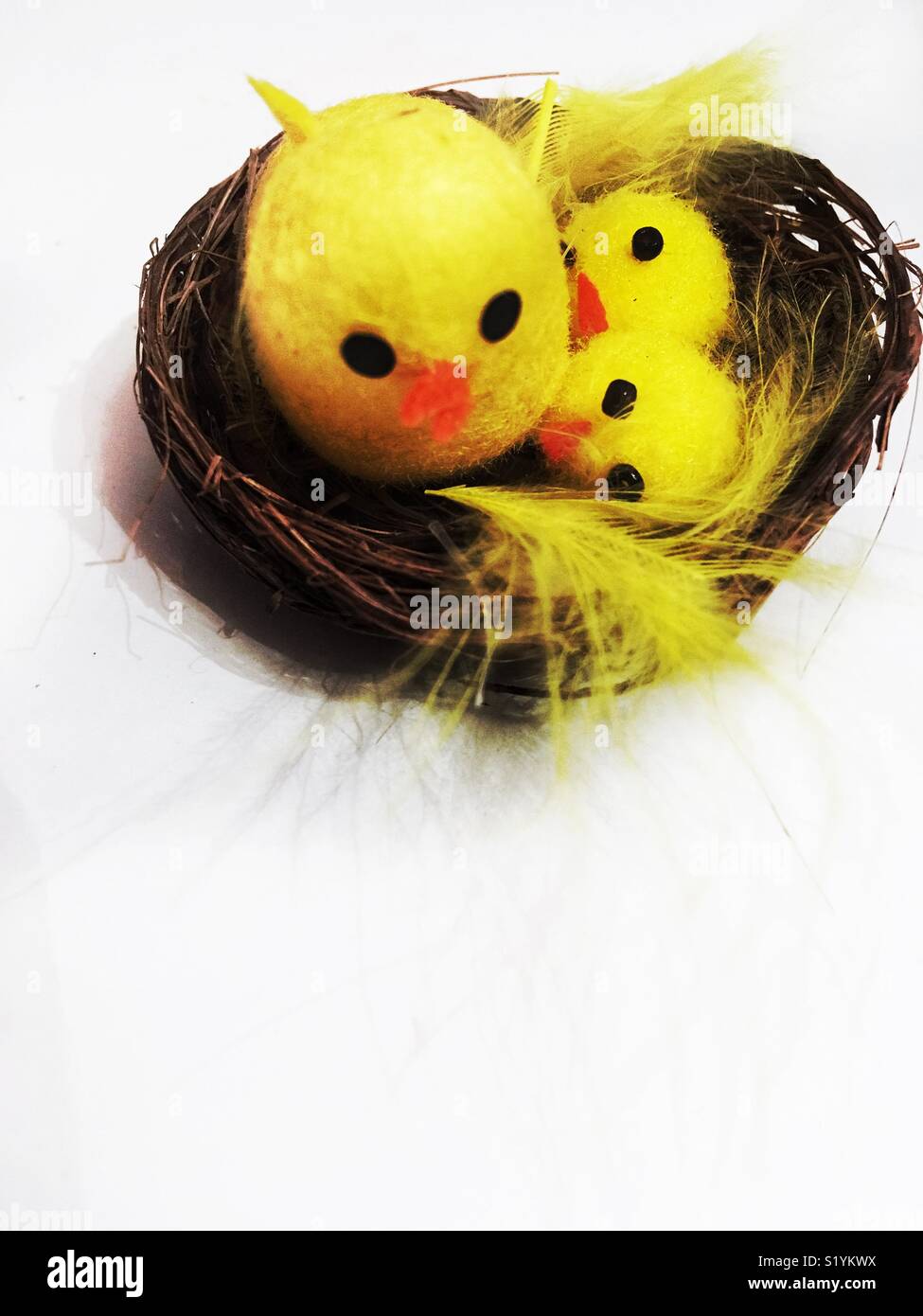 Baby birds in nest hi-res stock photography and images - Alamy