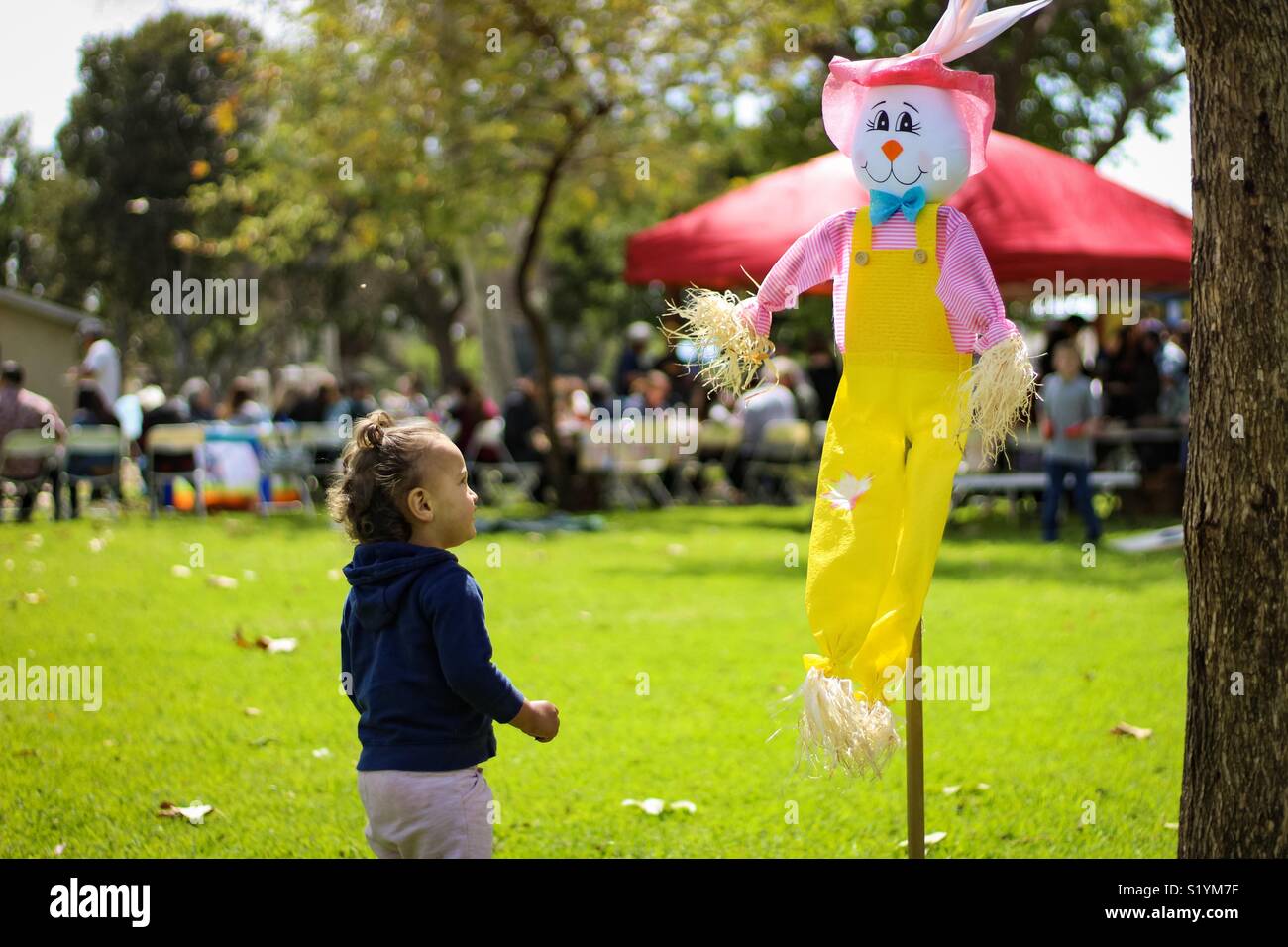 Scar crow hi-res stock photography and images - Alamy