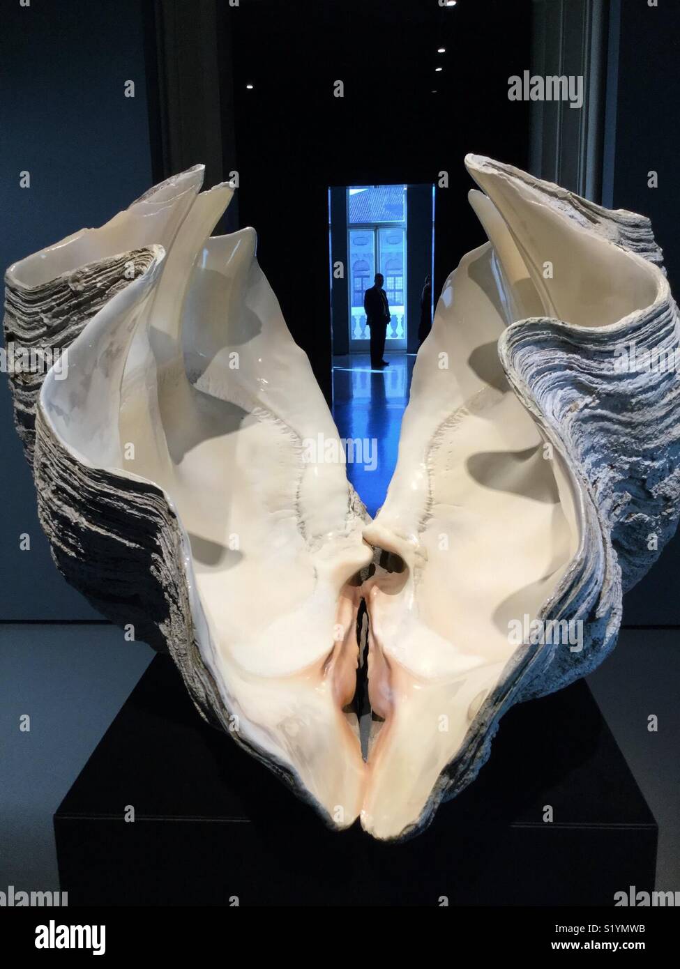 Damien hirst exhibition hi-res stock photography and images - Alamy