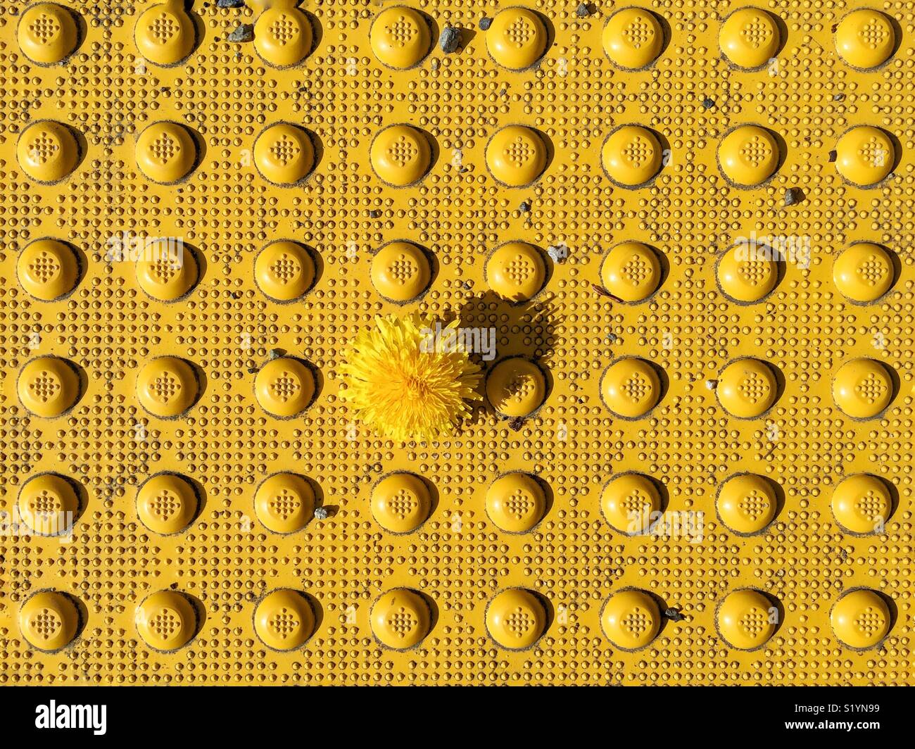 Hello spring hi-res stock photography and images - Alamy