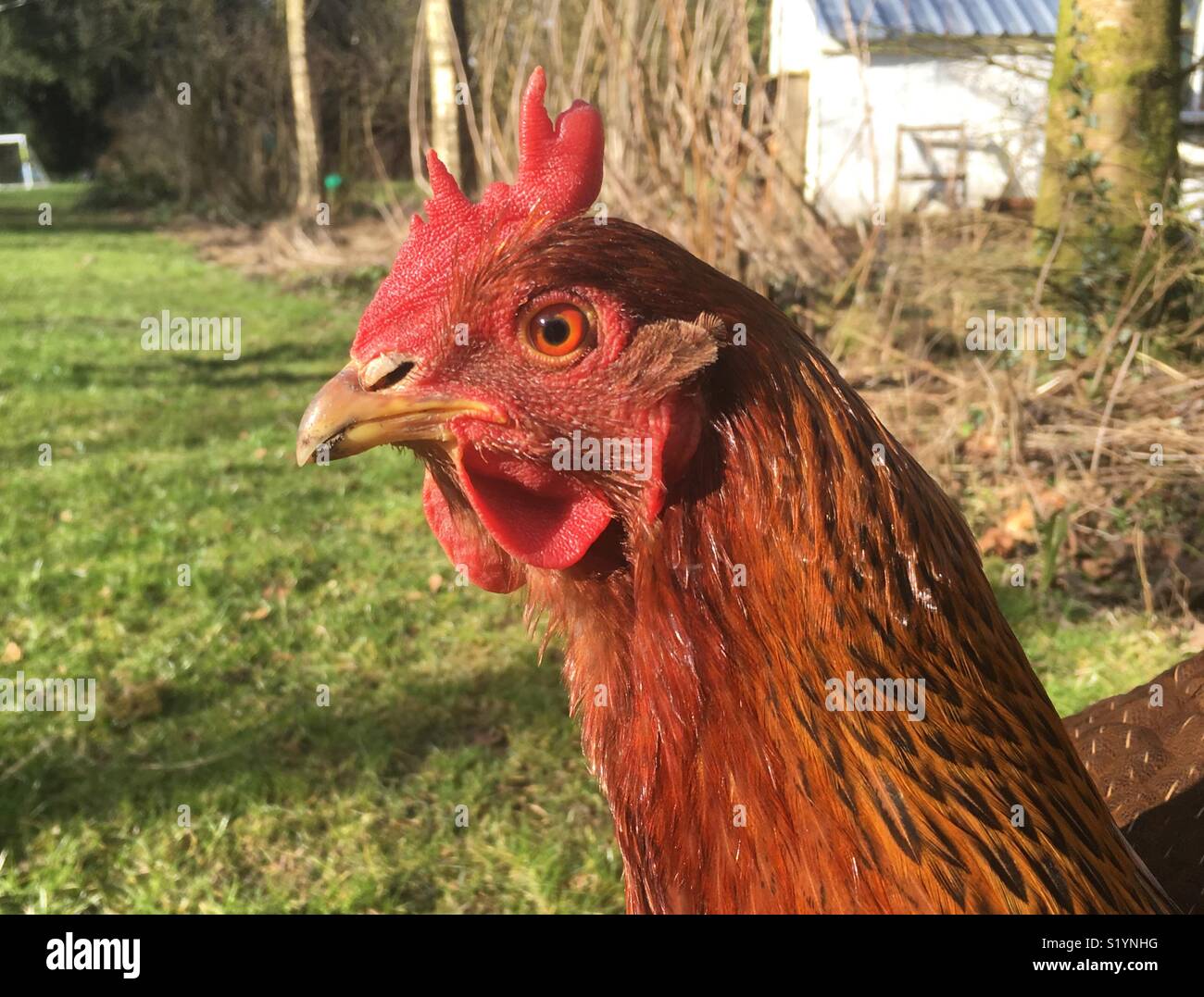 Chipping Range High Resolution Stock Photography and Images - Alamy