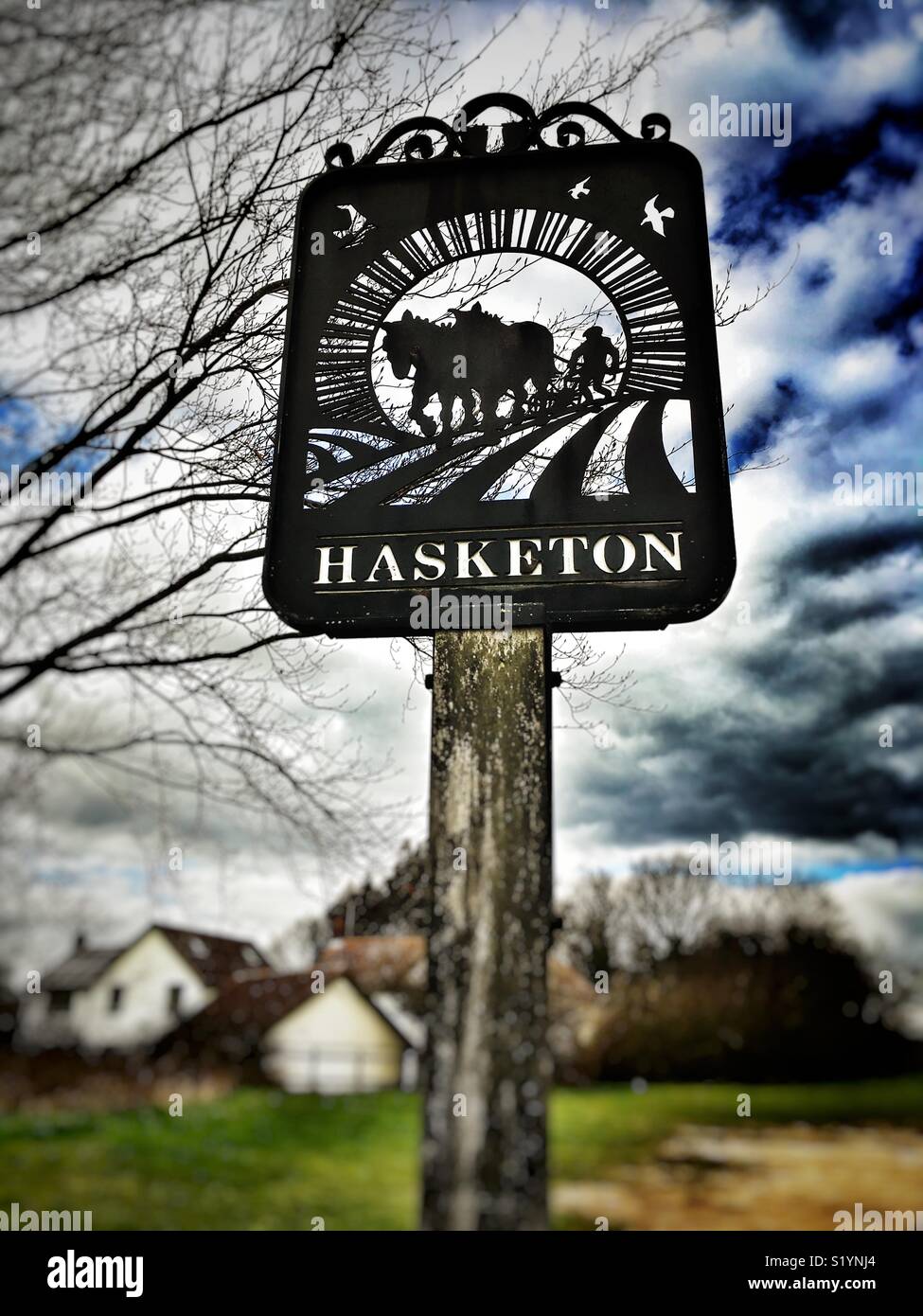 Suffolk horse plough hi-res stock photography and images - Alamy