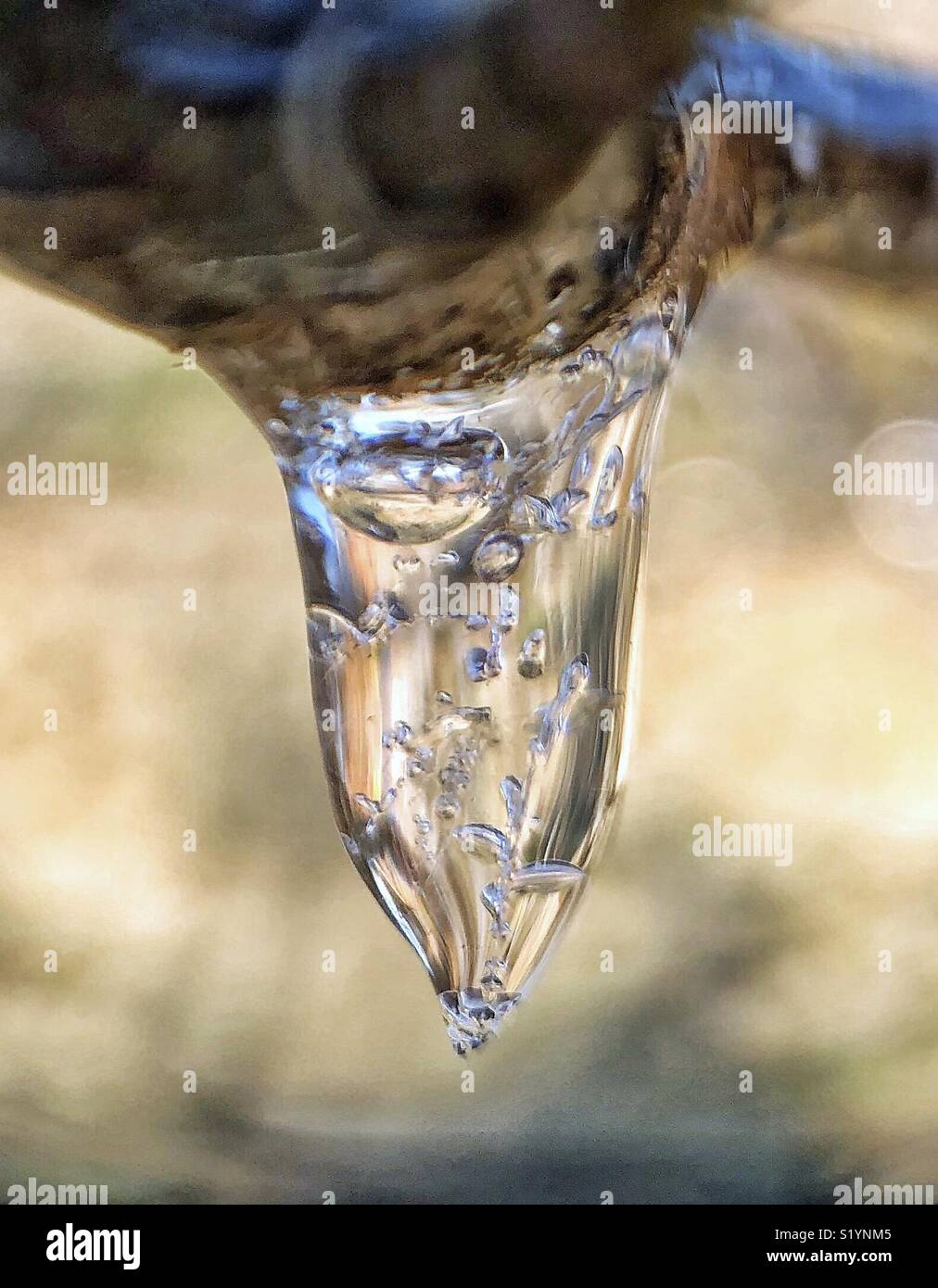 Ice drop hi-res stock photography and images - Alamy