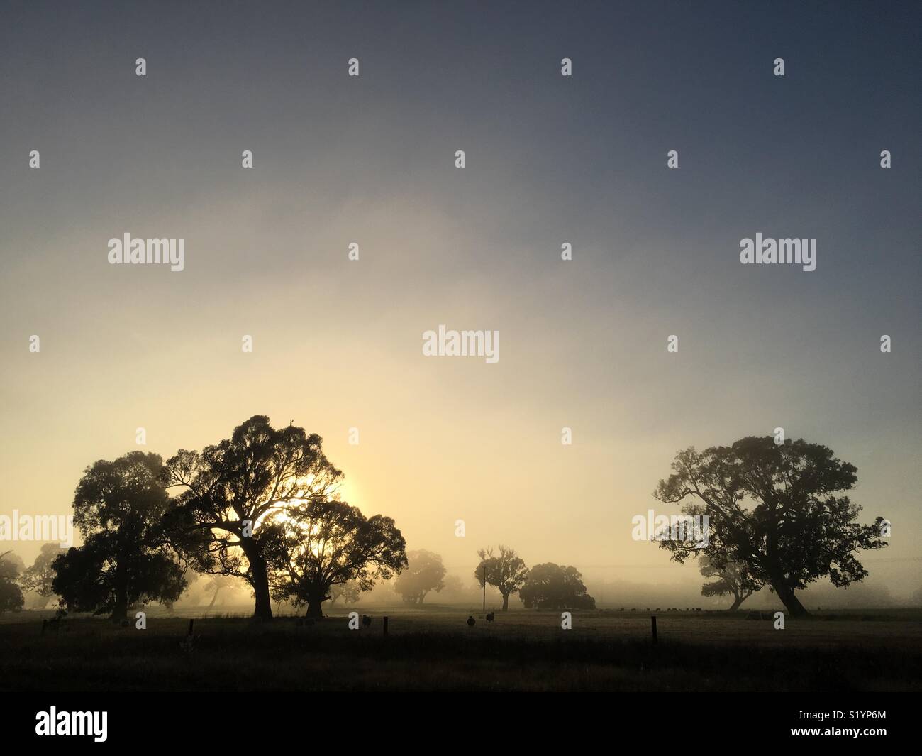 Outback farm australia hi-res stock photography and images - Alamy