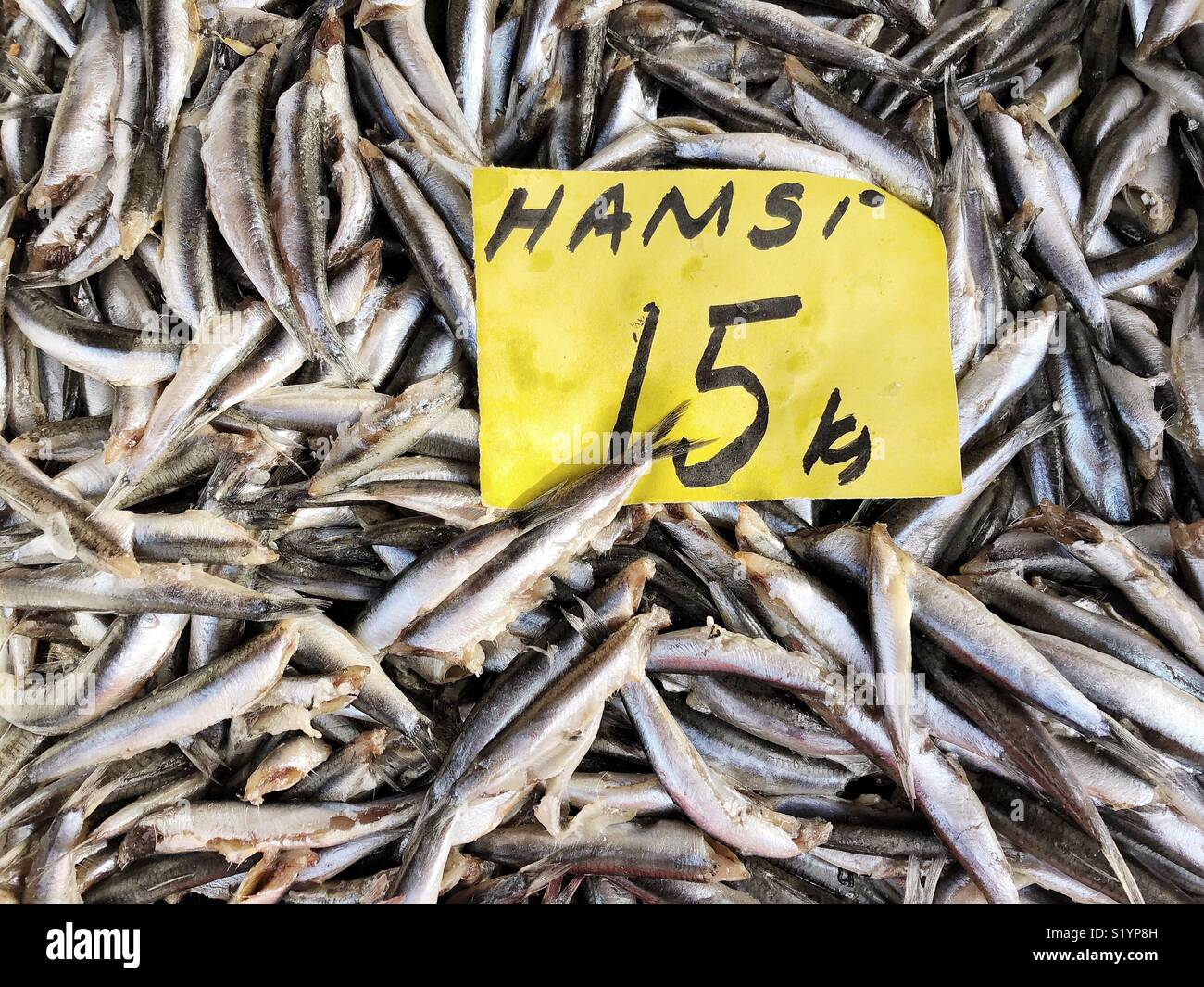 Hamsi fish hi-res stock photography and images - Alamy