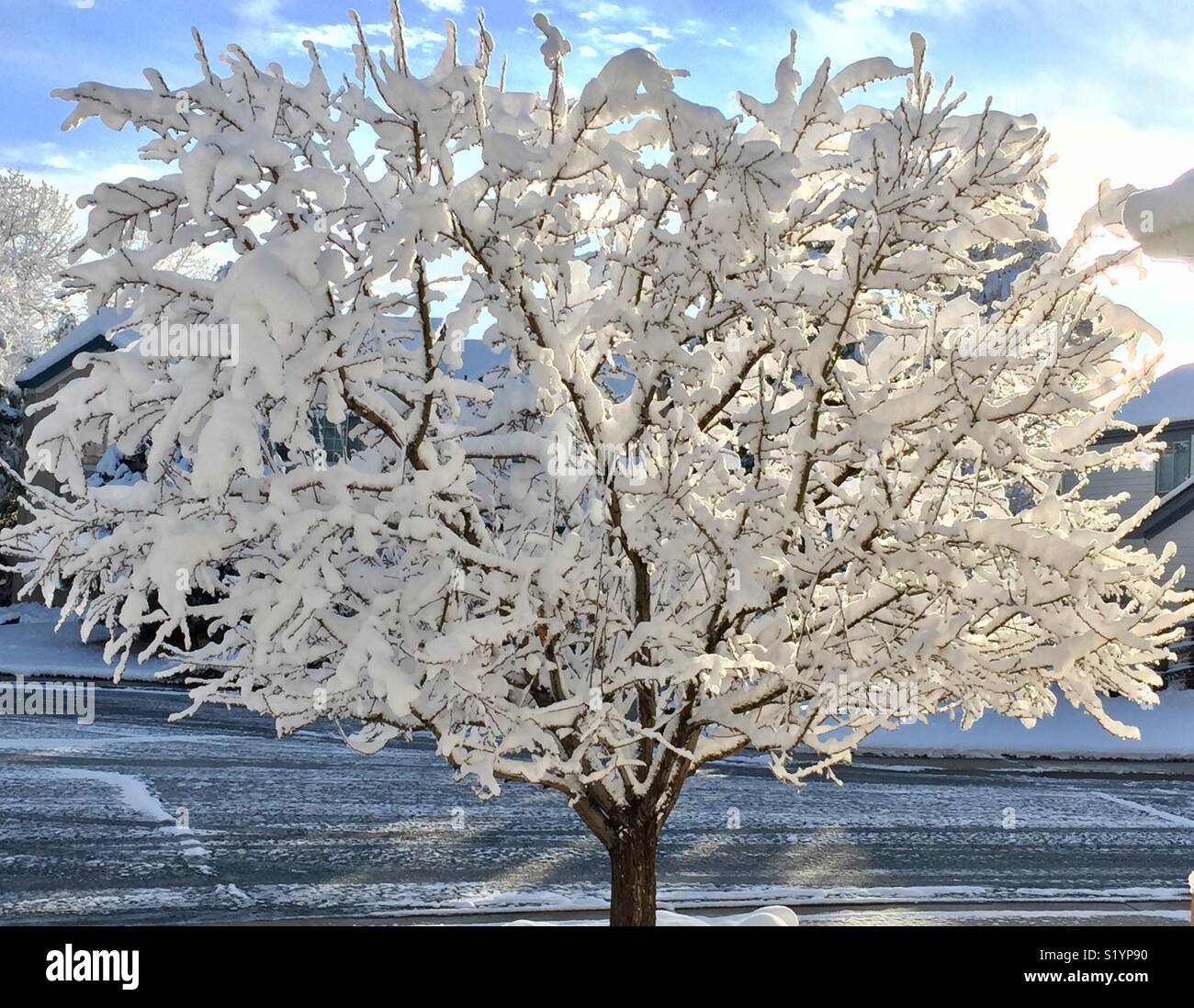 Light of spring hi-res stock photography and images - Alamy